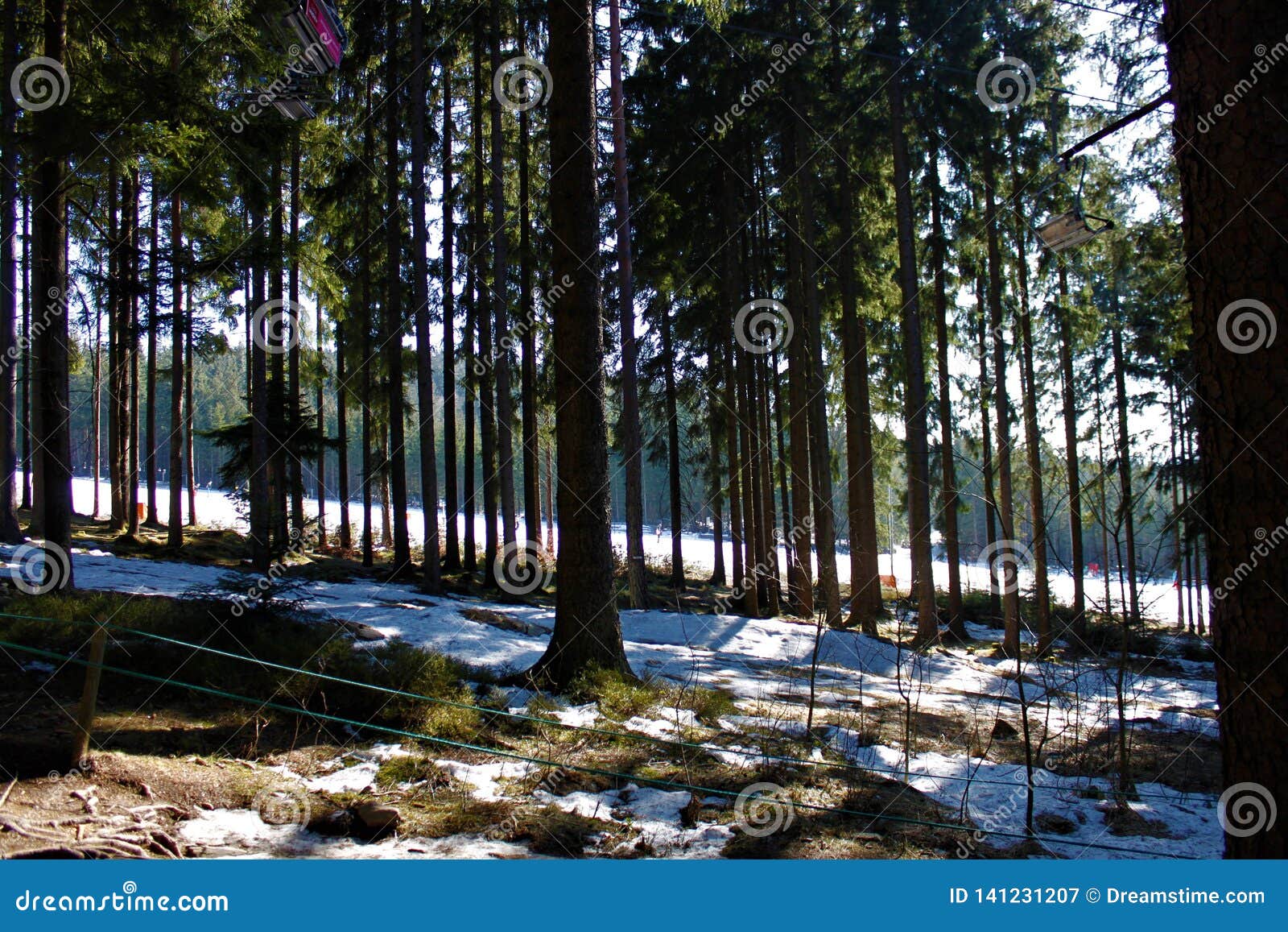 Melting into spring stock image. Image of melting, greener - 141231207