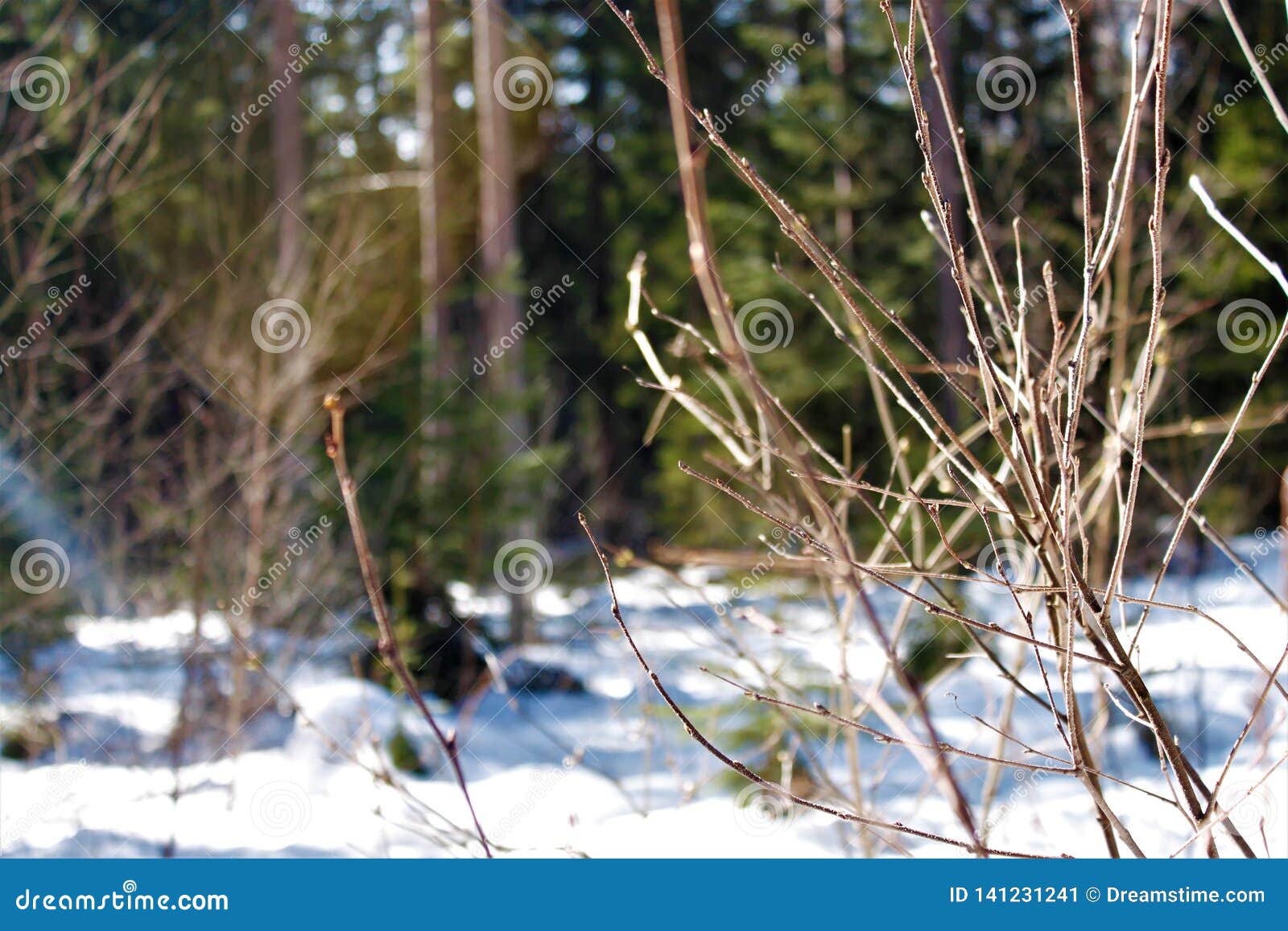 Melting into spring stock image. Image of melting, spring - 141231241