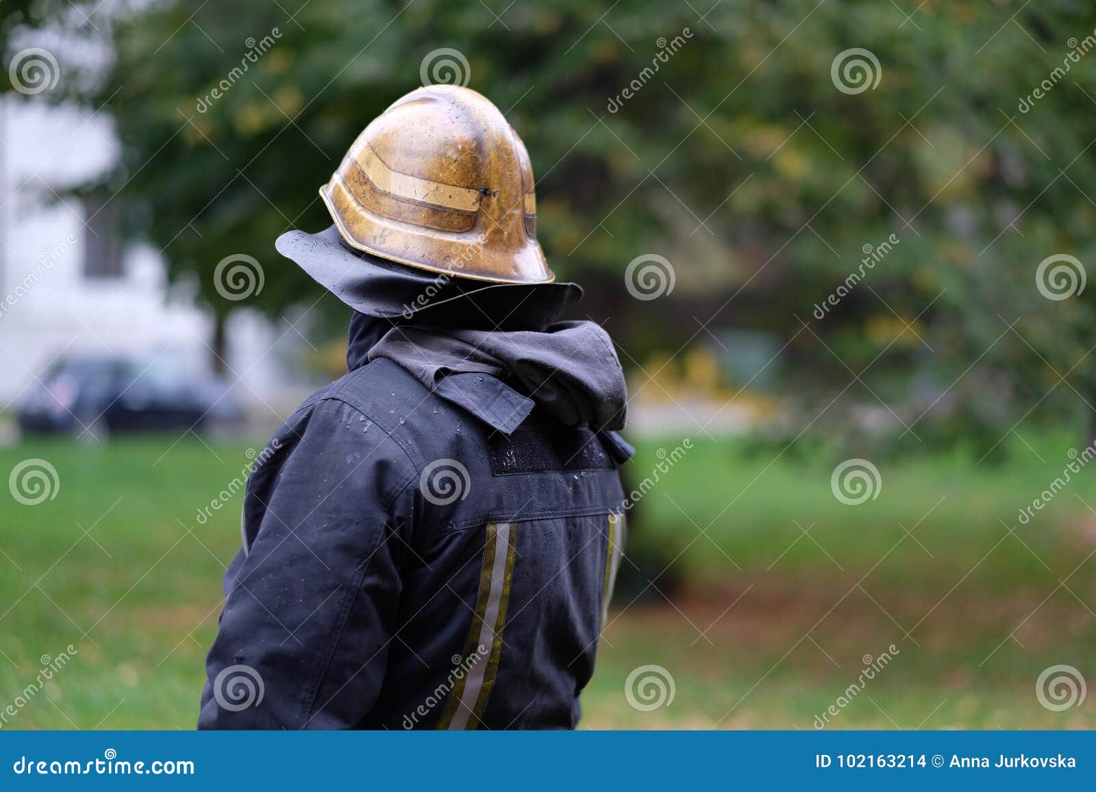 Member of the fire brigade editorial stock image. Image of uniform ...