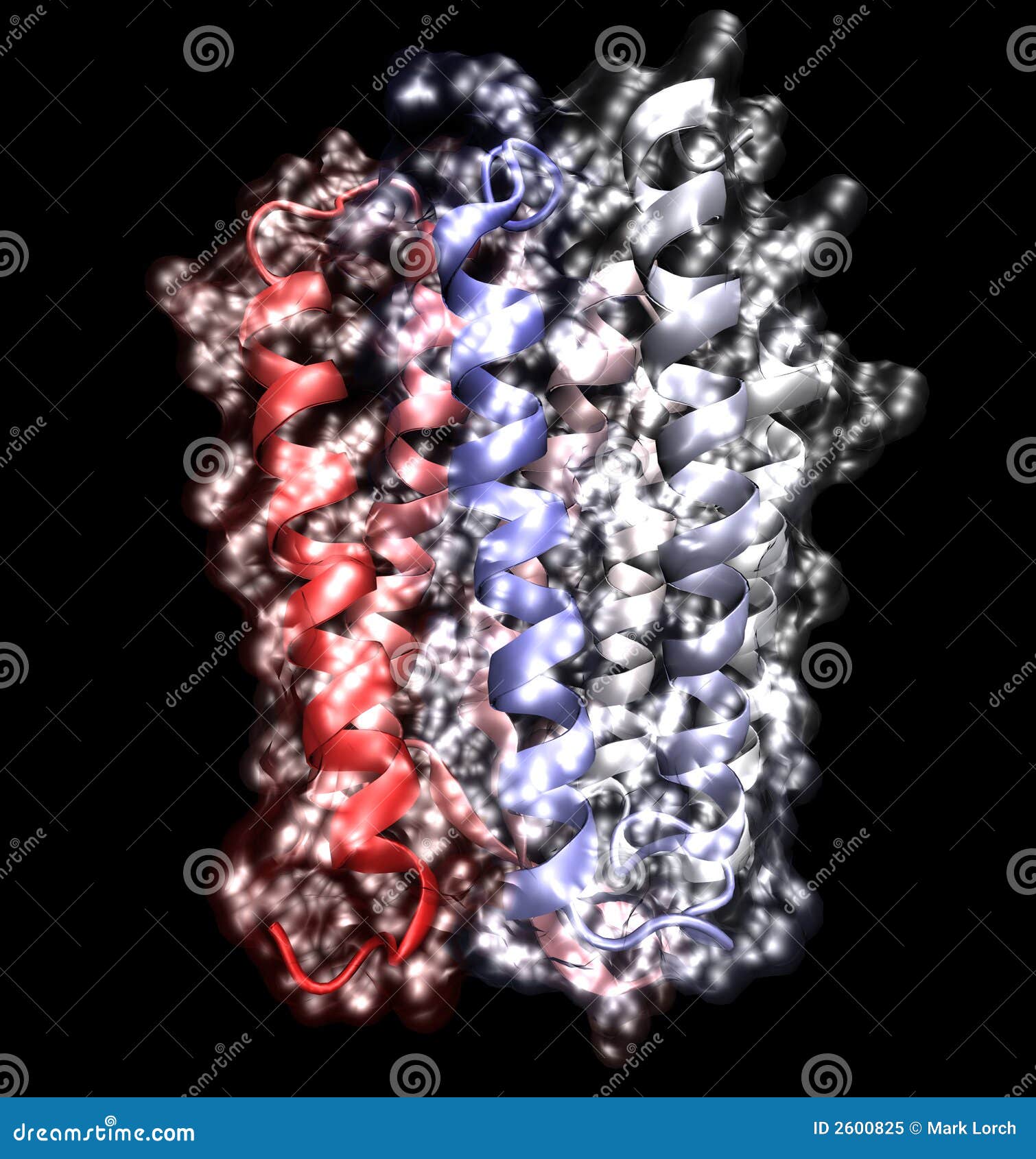 Membrane protein stock illustration. Illustration of chemical - 2600825