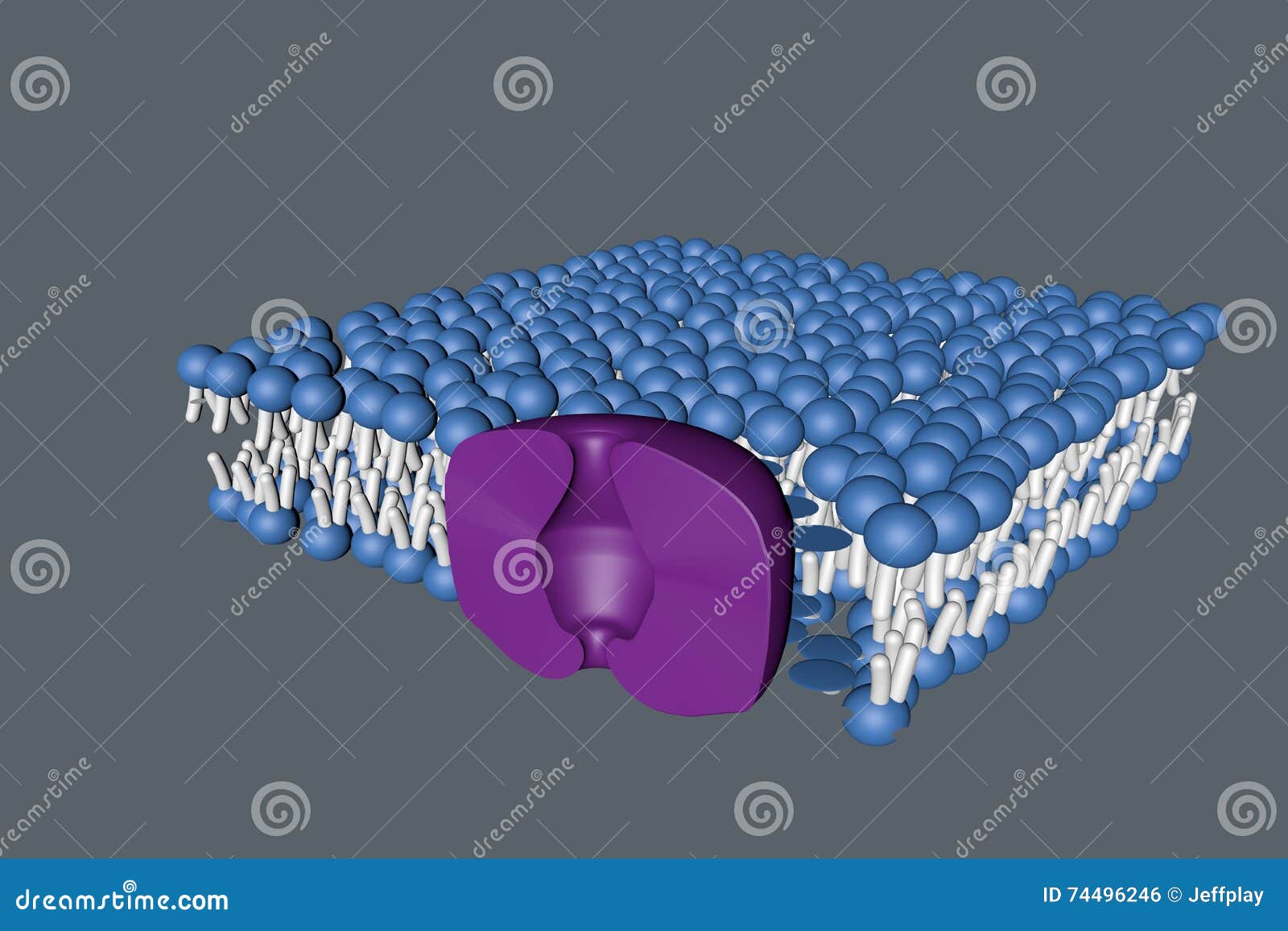 Membranece delle cellule illustrazione di stock. Illustrazione di ...