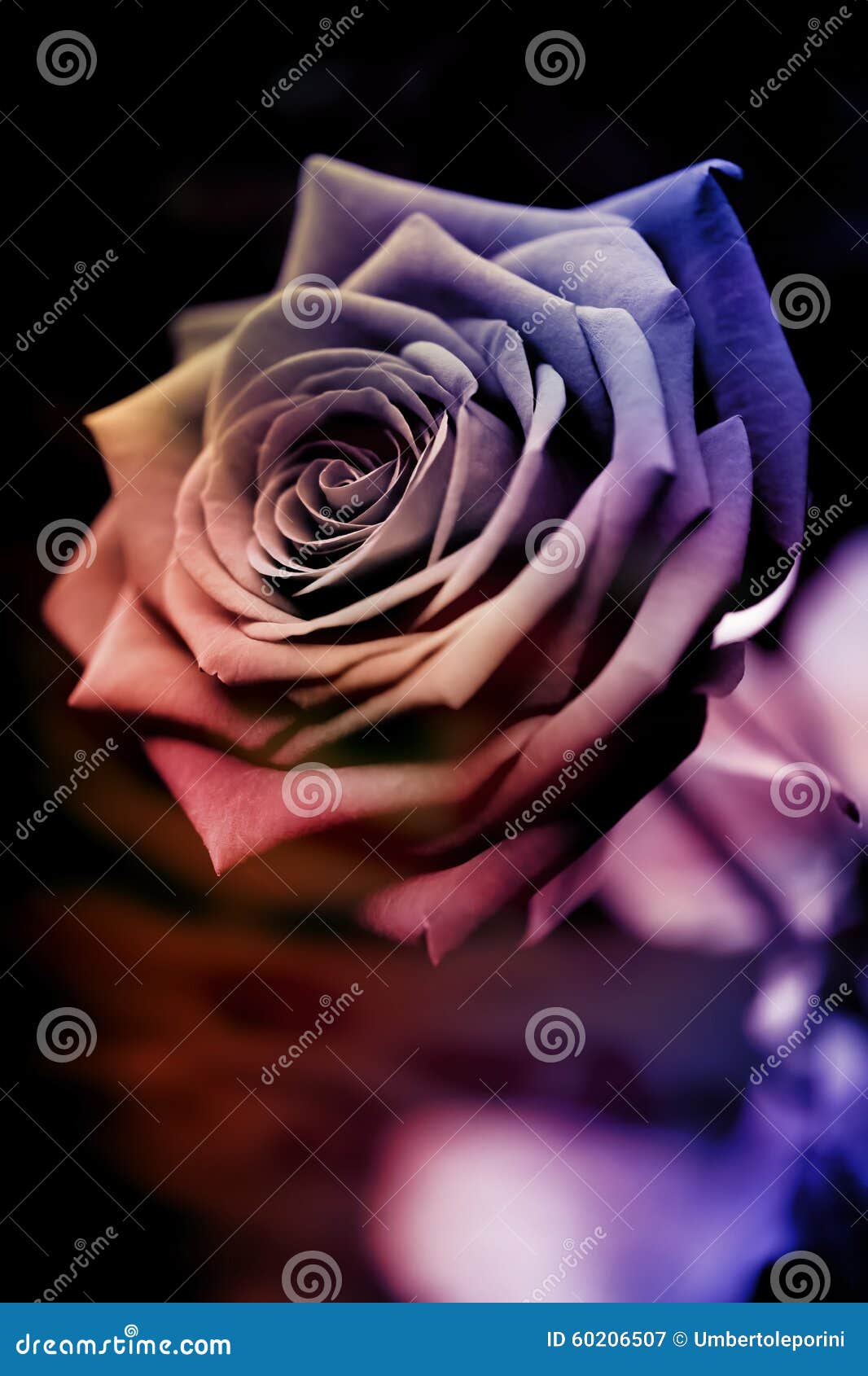 Memento stock image. Image of memories, love, black, remember - 60206507