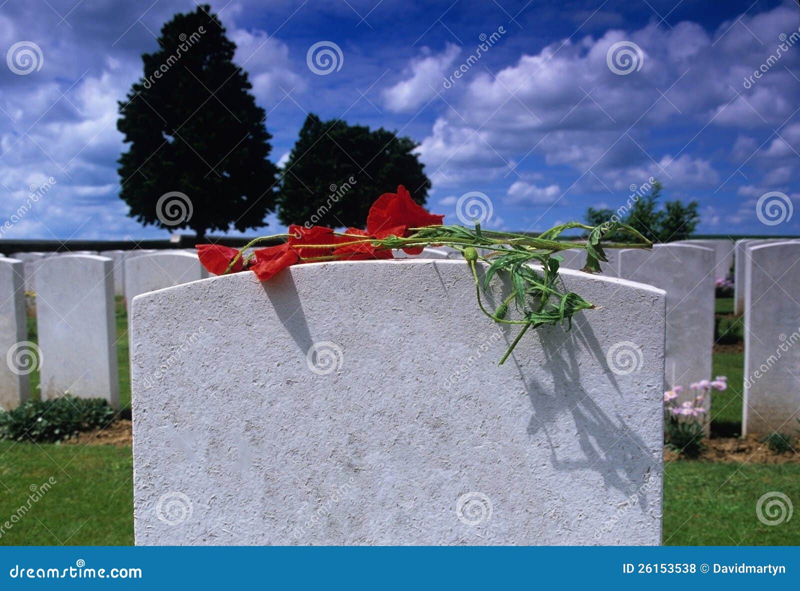 Memorial stock photo. Image of poppy, cemetery, stone - 26153538
