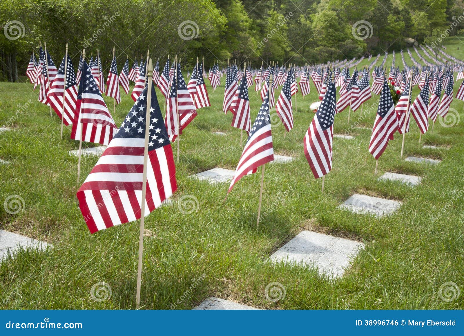 Memorial Day Flags Stand in Remembrance Editorial Photo - Image of ...