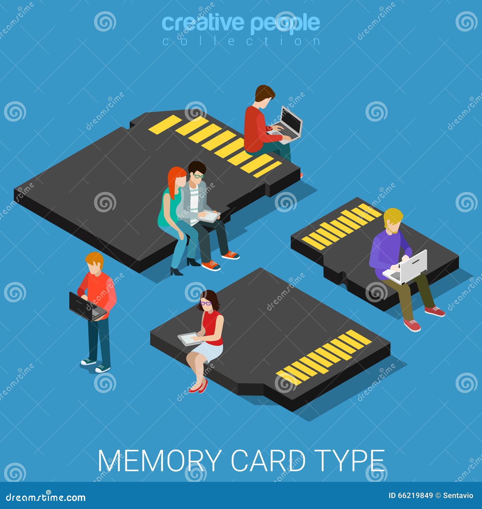 Memory Card Type Size SD Mini Micro MMC Flat 3d Isometric Vector Stock ...