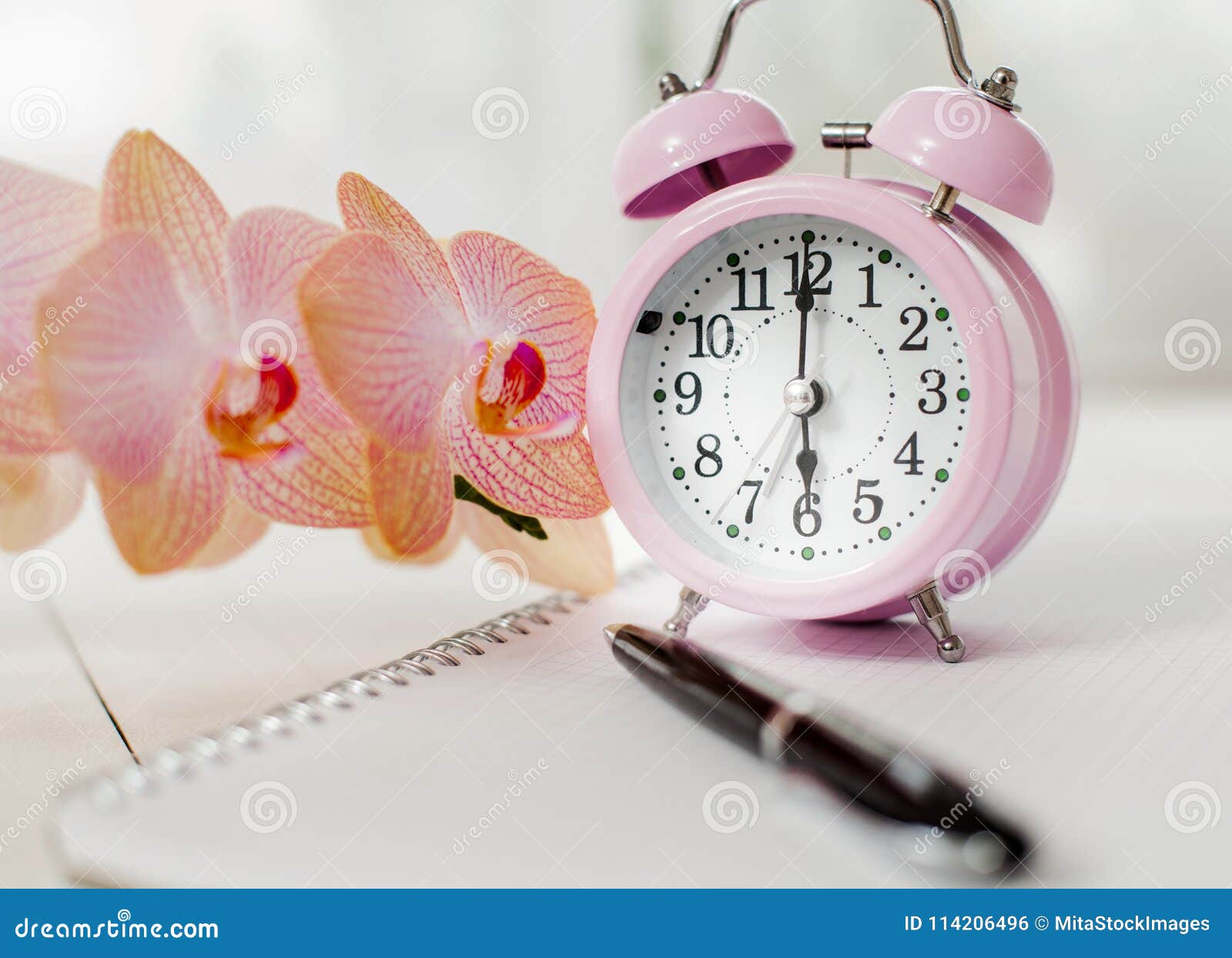 Memory Diary Time stock photo. Image of sleep, orchid - 114206496