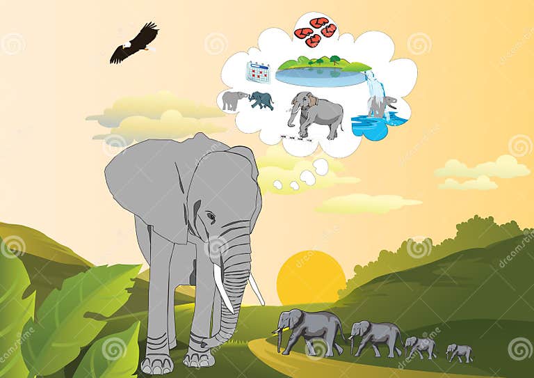 Memory of an elephant stock illustration. Illustration of elephants ...