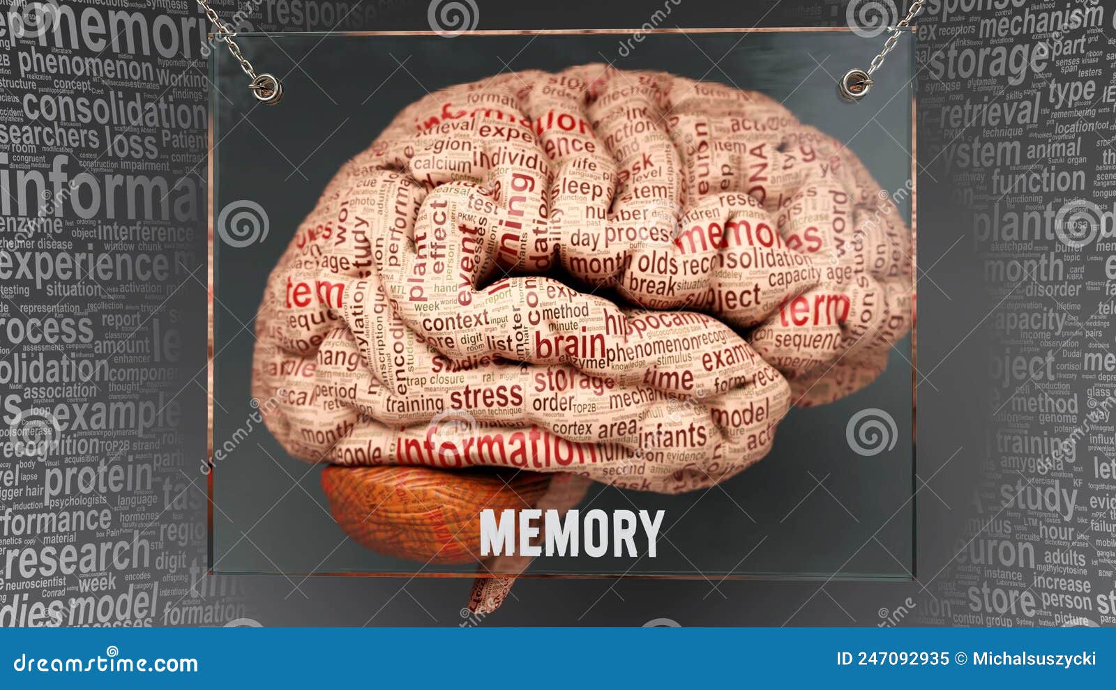 Memory in human brain stock illustration. Illustration of cortex ...