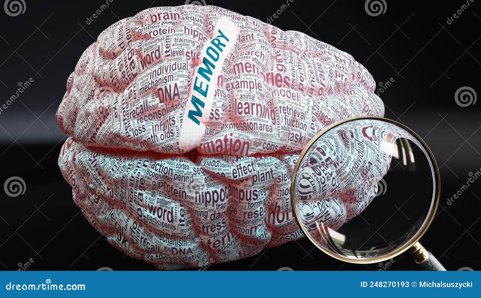 Memory in human brain stock illustration. Illustration of brain - 248270193