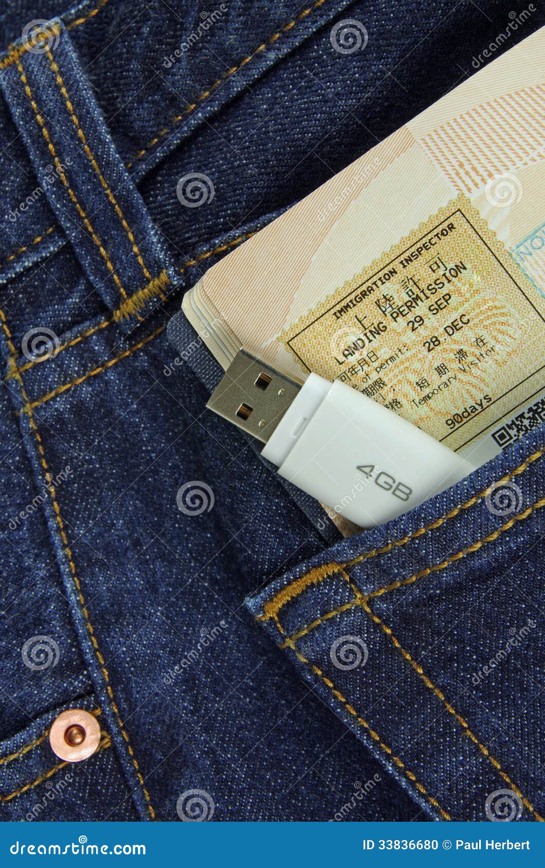 Memory Stick and Passport Page Stock Photo - Image of inpocket, trip ...