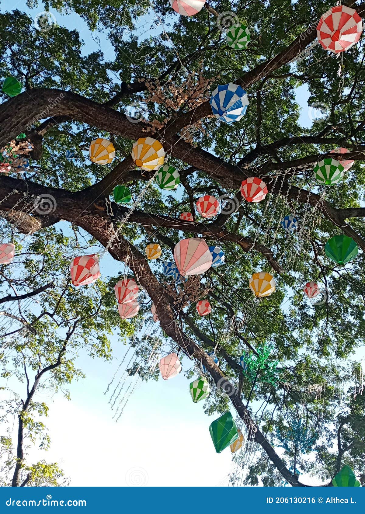 A memory to remember stock photo. Image of woodland - 206130216