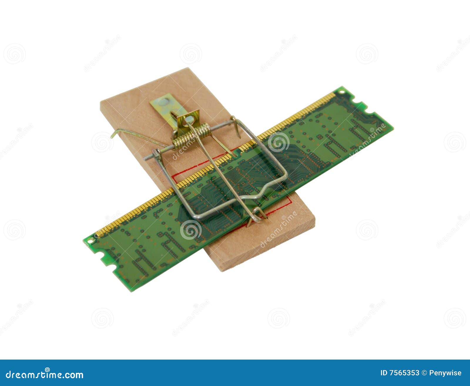 Memory trap stock image. Image of release, caught, green - 7565353