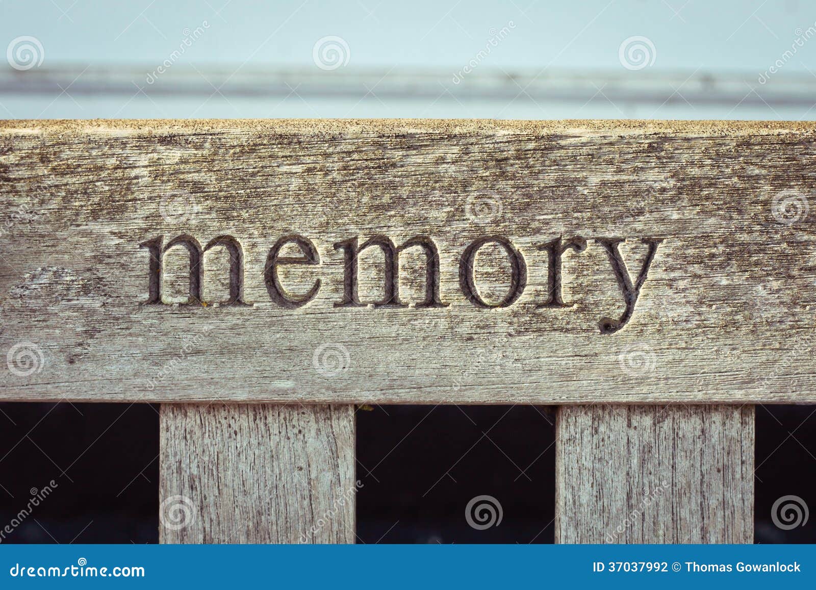 Memory stock photo. Image of letters, affection, fond - 37037992