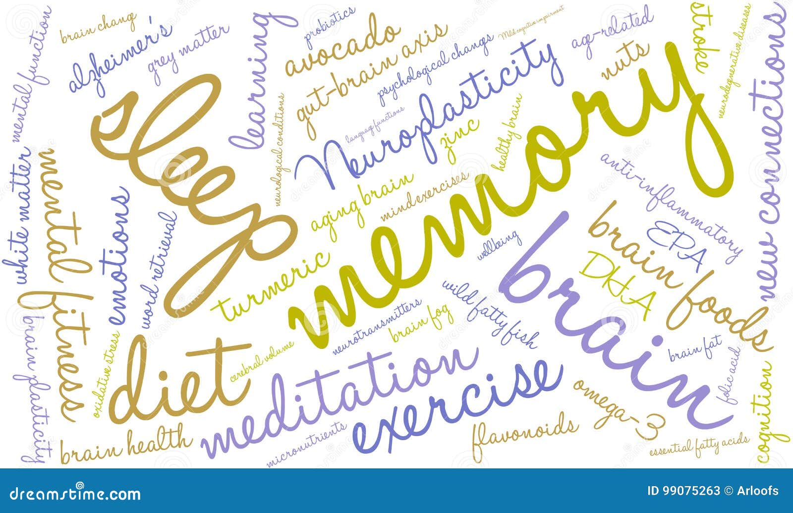 The Memory Word In Bubble Royalty-Free Stock Photography ...