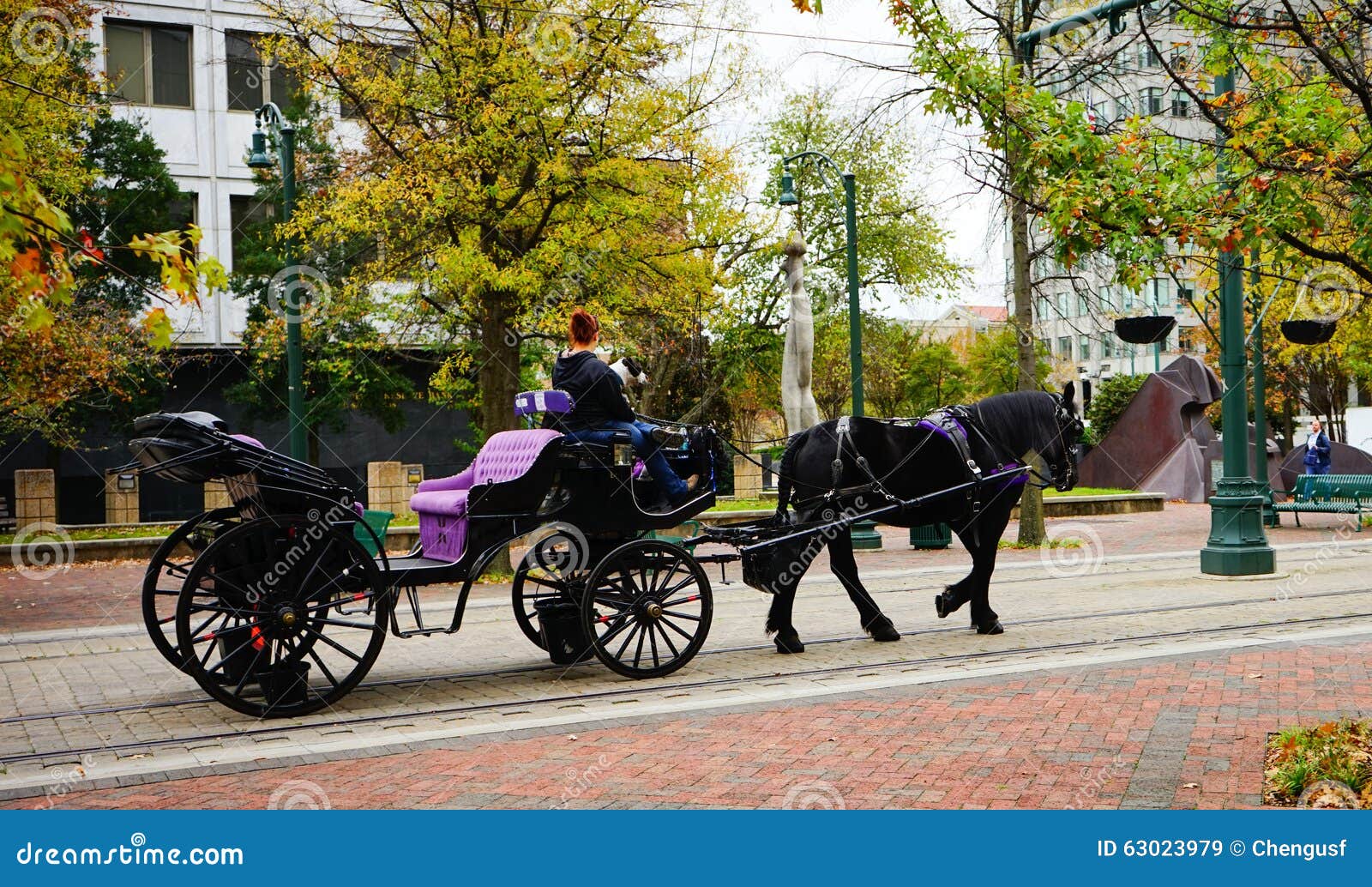 Memphis Downtown Horse Ride Editorial Stock Image - Image of city, fall ...