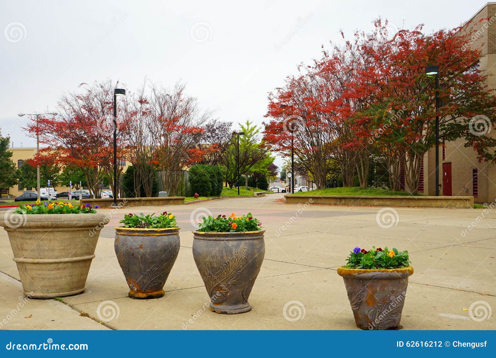 Memphis fall stock photo. Image of chili, injury, care - 62616212