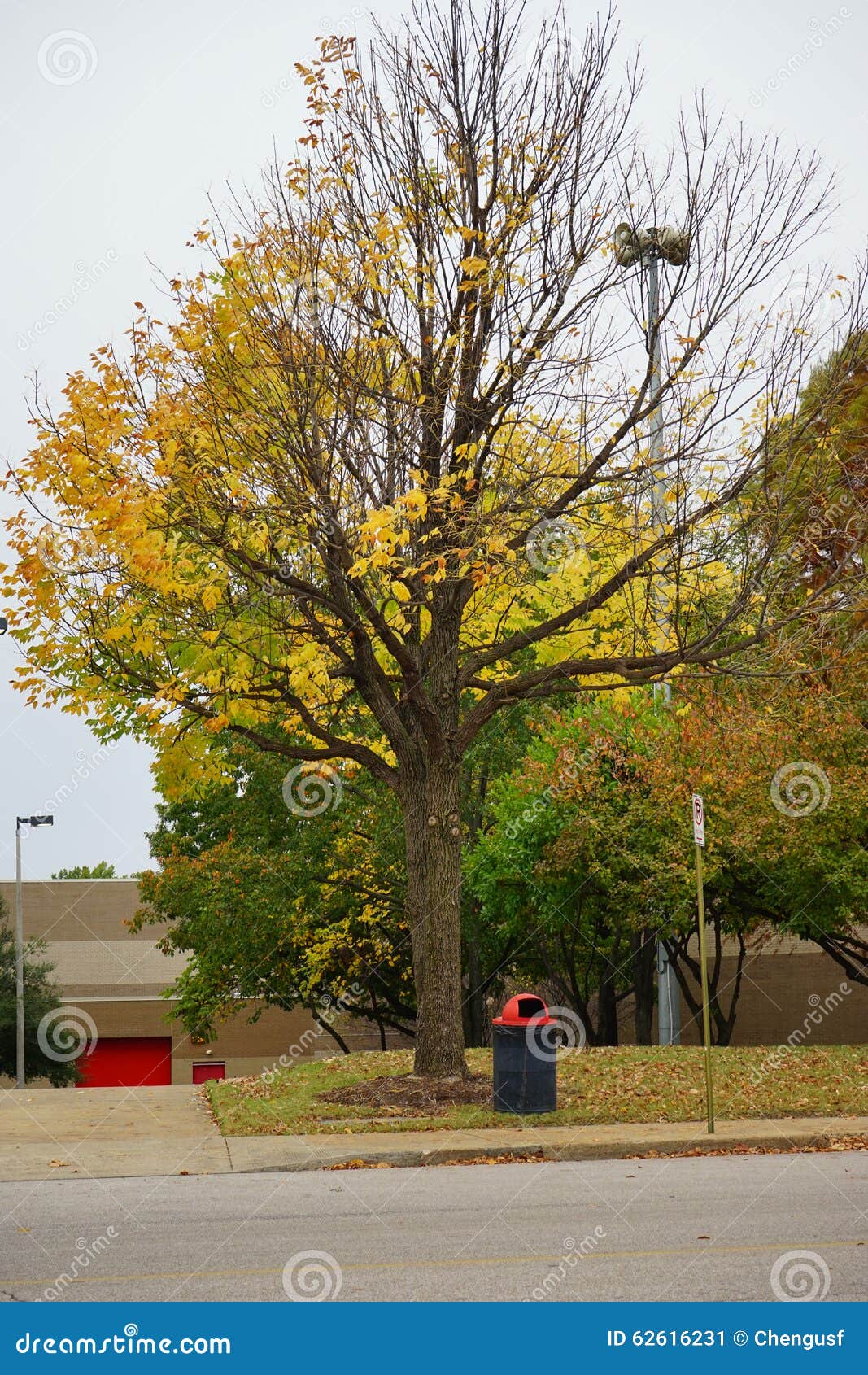 Memphis fall stock image. Image of baby, blue, cord, hospital - 62616231