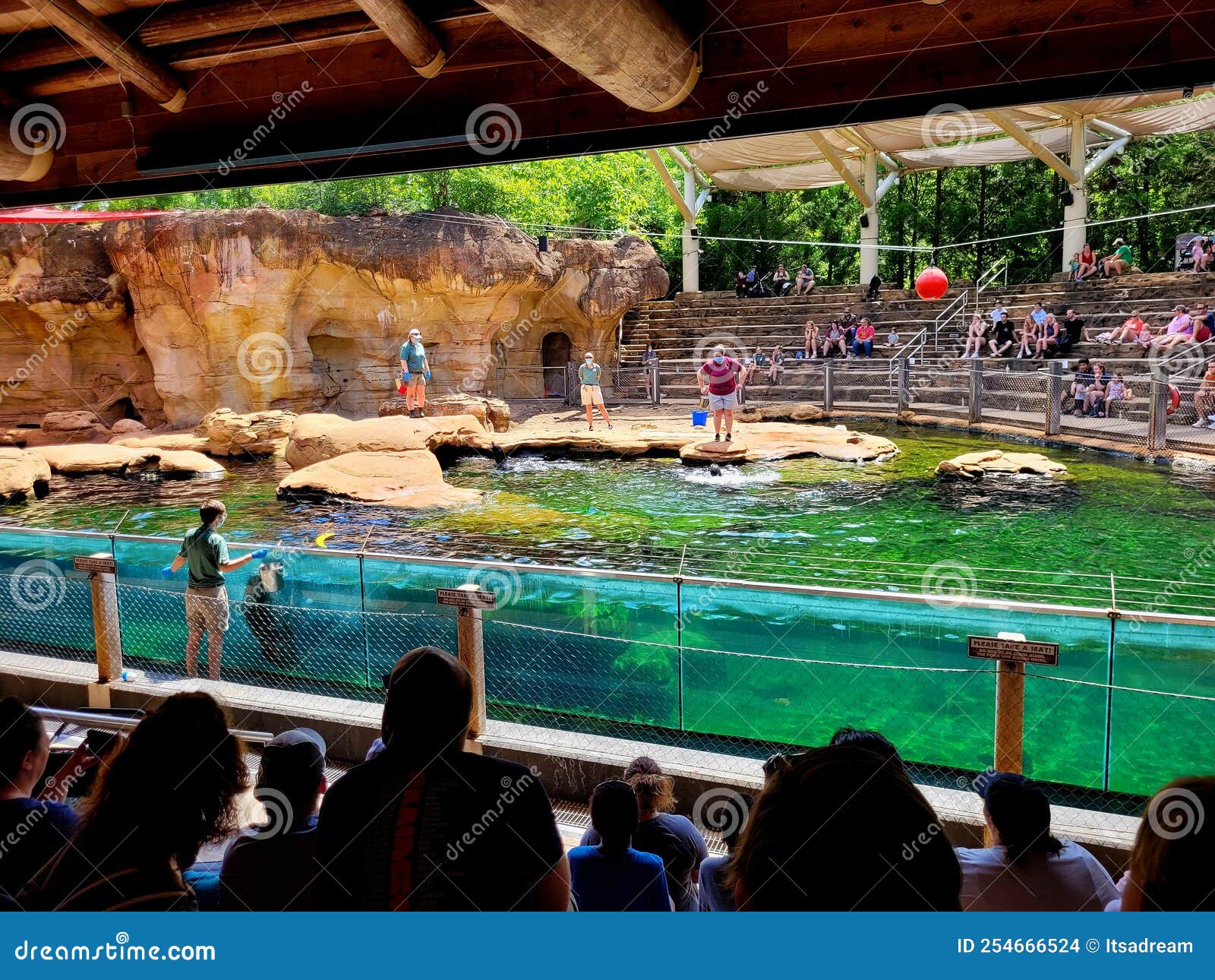 Memphis zoo attraction editorial stock image. Image of tree - 254666524