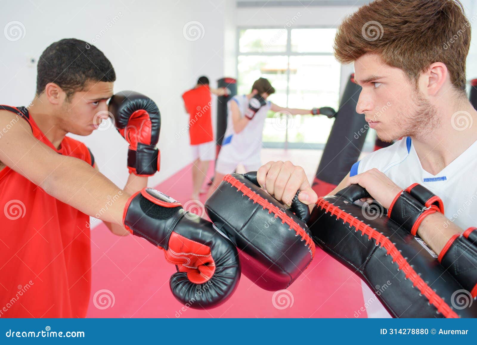 Men in boxing position stock photo. Image of sparring - 314278880