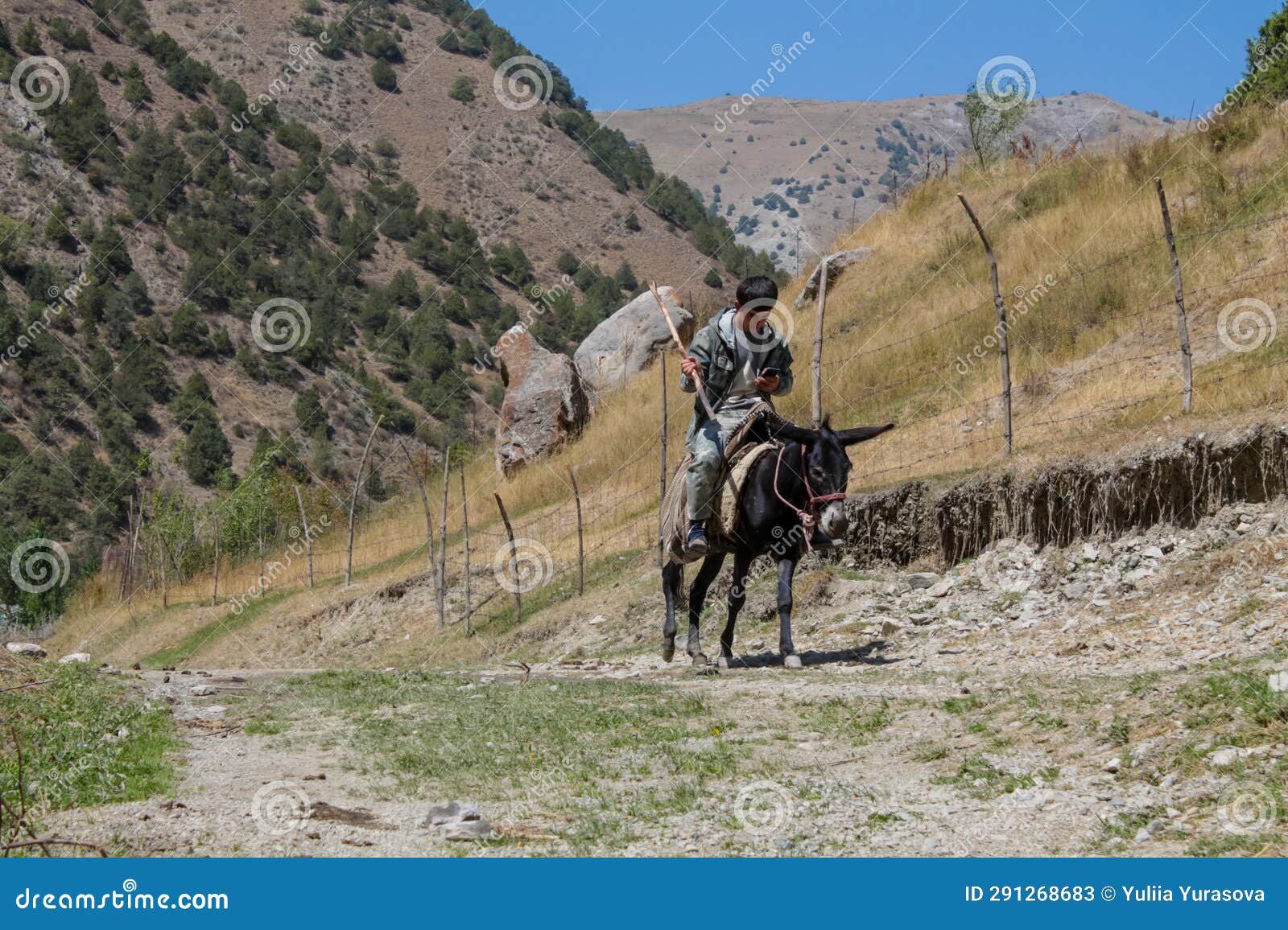 Men or Boy Riding a Donkey on the Mountain Path Editorial Stock Photo ...