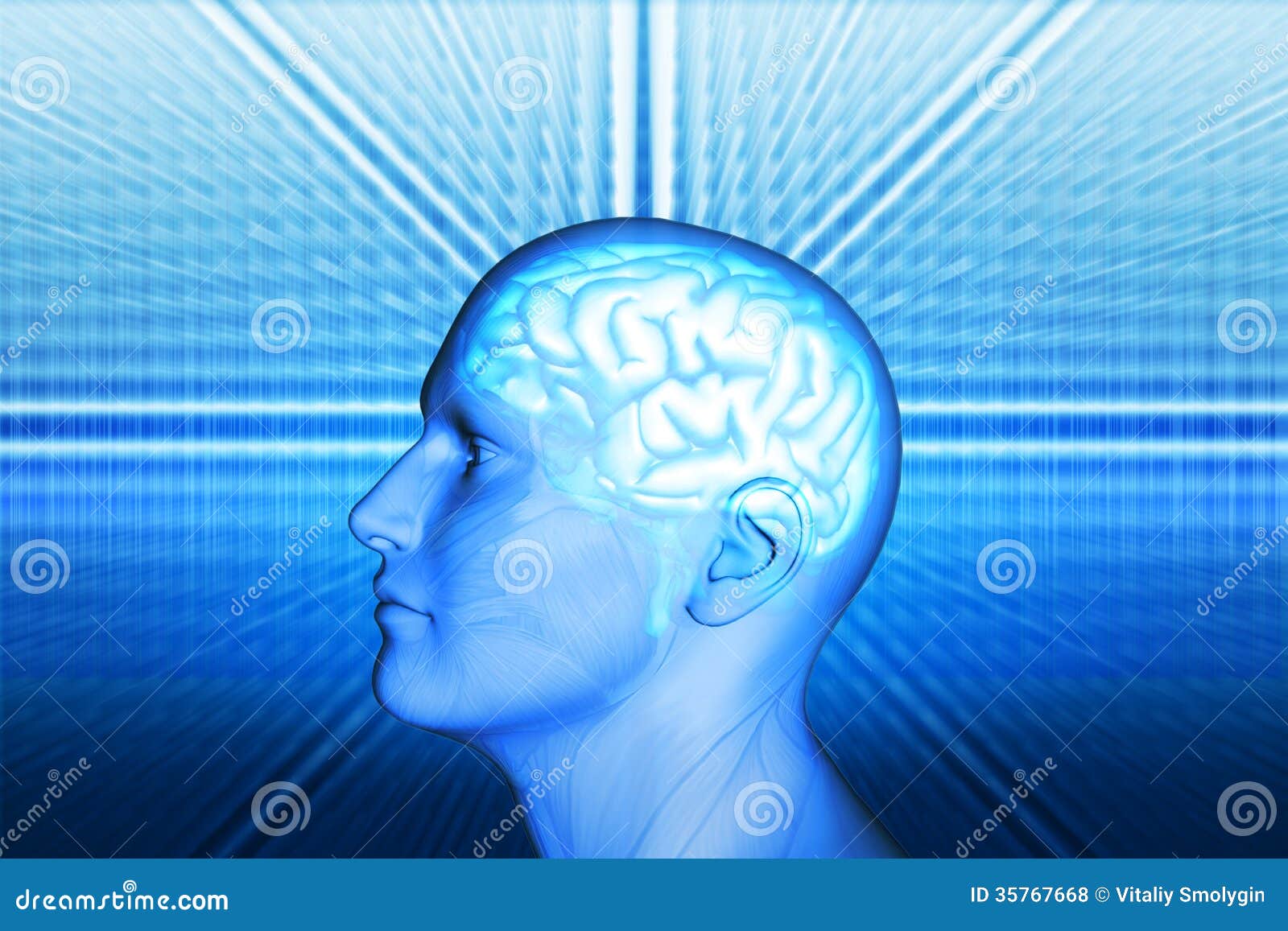 Men and brain stock illustration. Illustration of awareness - 35767668