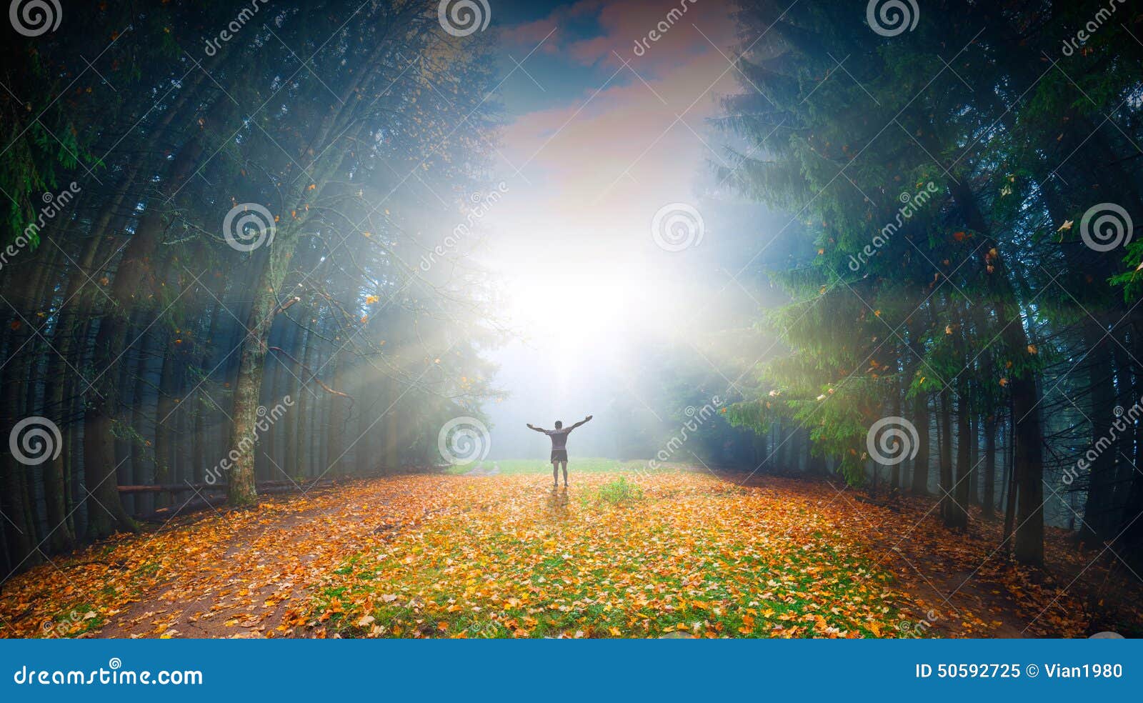Men & Bright sunlight stock image. Image of fear - 50592725