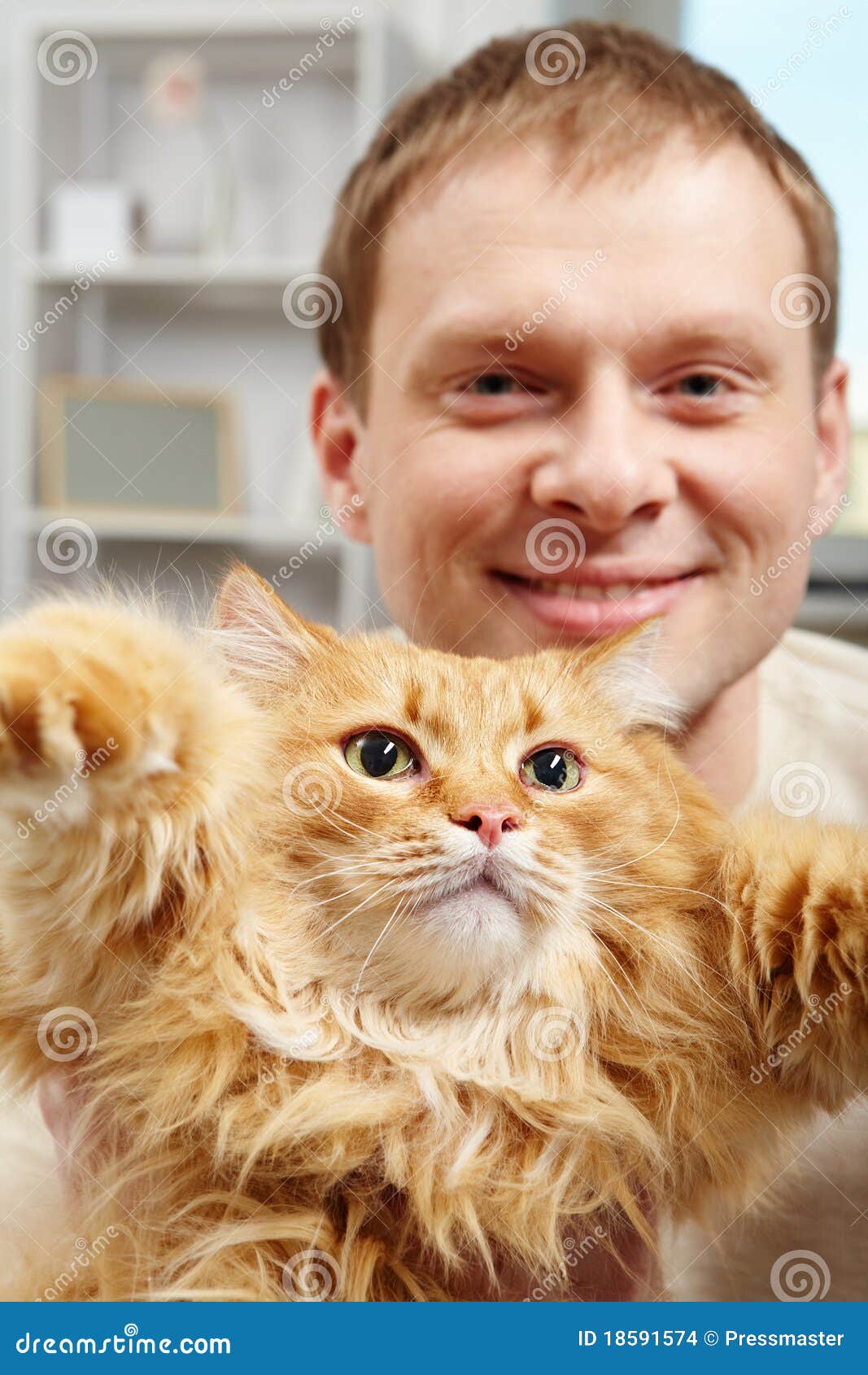 Men and cat stock photo. Image of creature, fuzzy, muzzle - 18591574