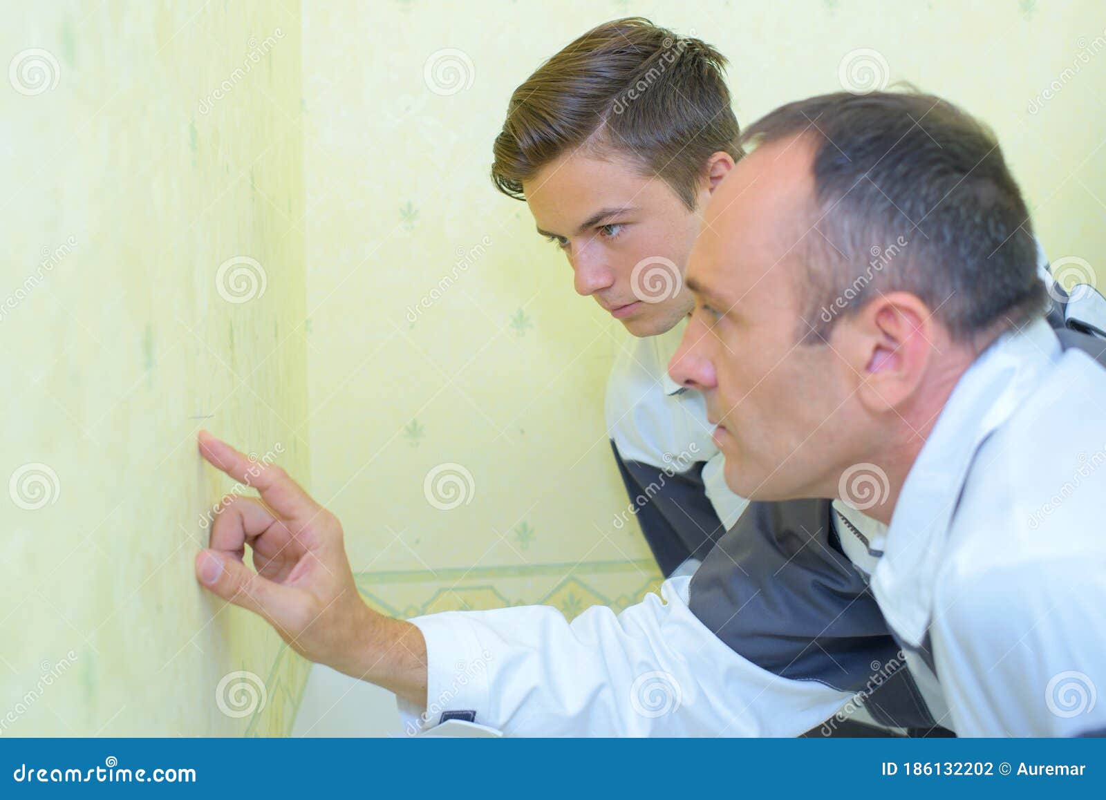 Men checking wallpaper stock photo. Image of attach - 186132202
