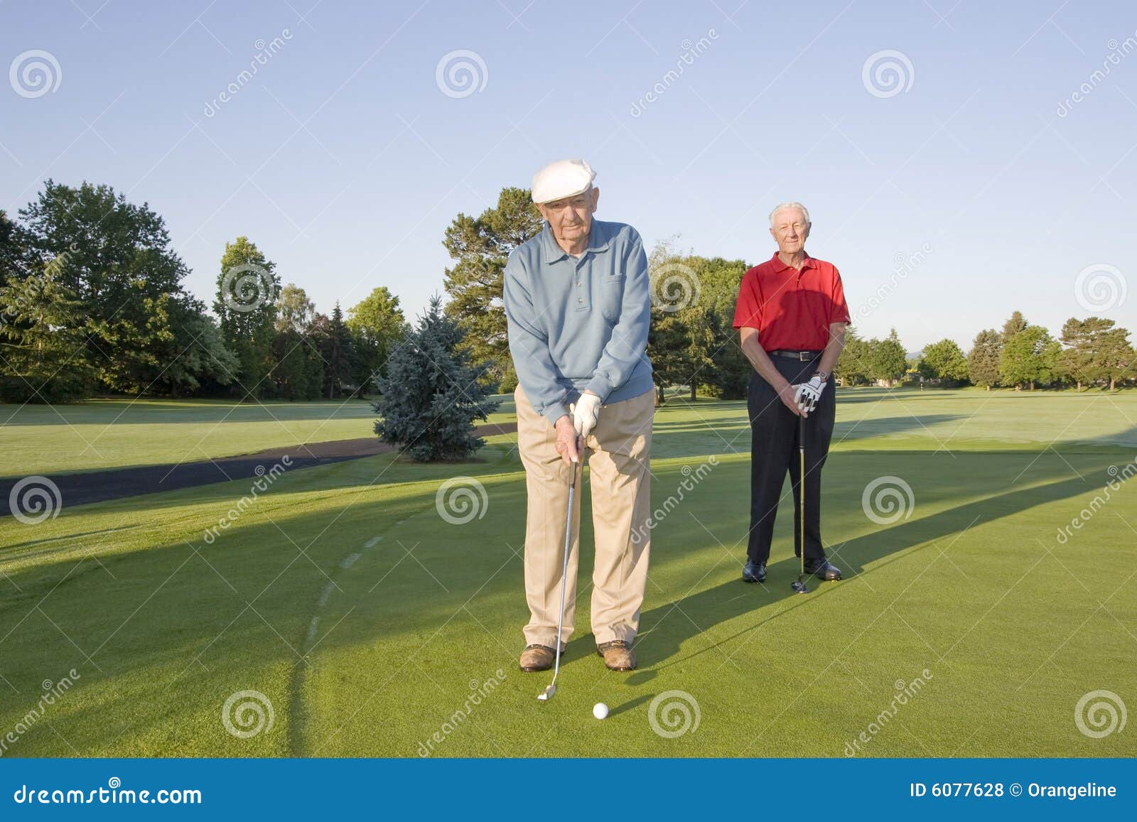 Men on Course with Clubs stock photo. Image of caucasian - 6077628