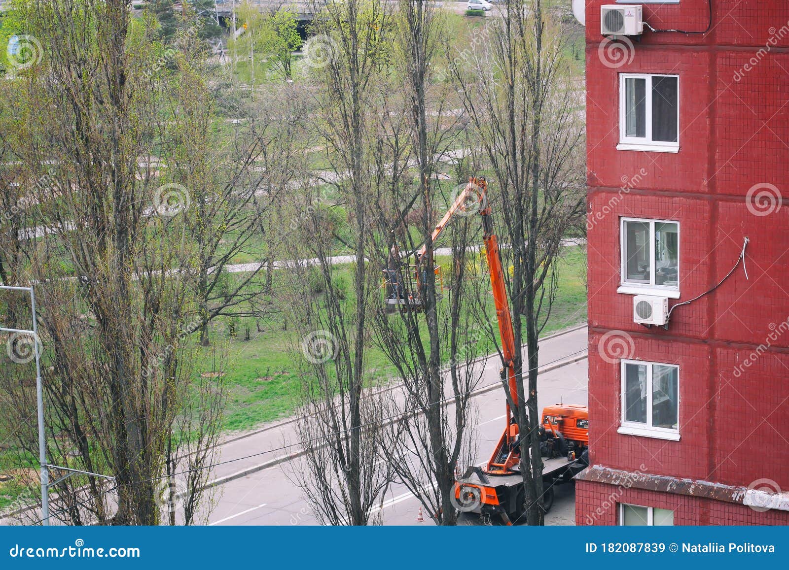 Men in a Crane Cutting Down a Tree. Workers Cut Down Trees in the City ...