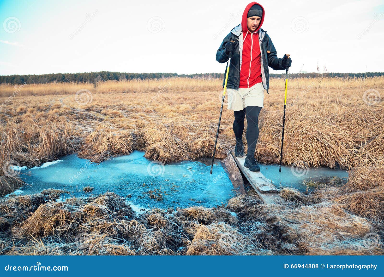 Men Cross River Throw the Tree Trunk Stock Photo - Image of landscape ...