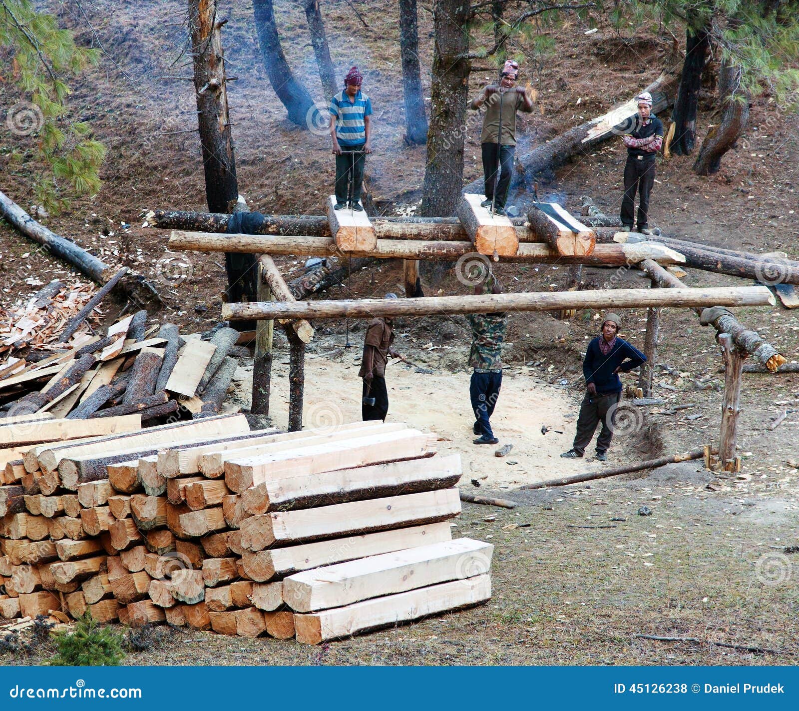 Men Cutting Timber by Primitive Method in Western Nepal Editorial Stock ...