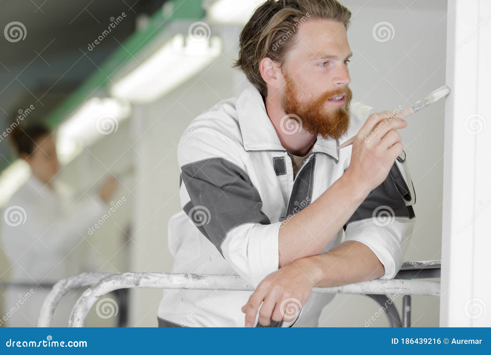 Man decorating at home stock photo. Image of interior - 186439216