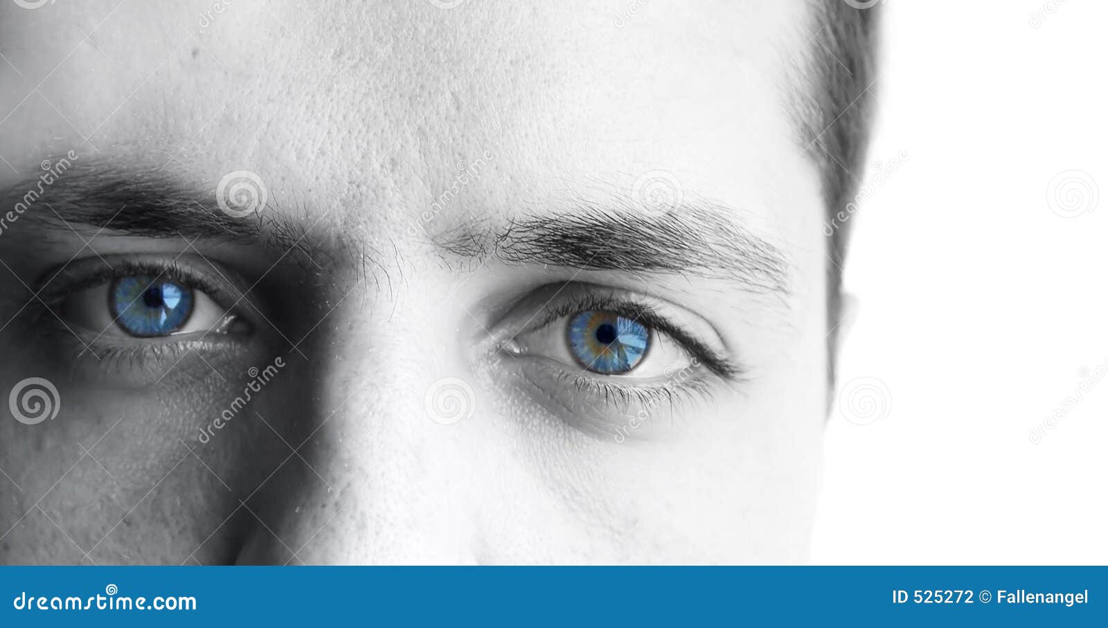 Men Eyes Stock Photography - Image: 525272