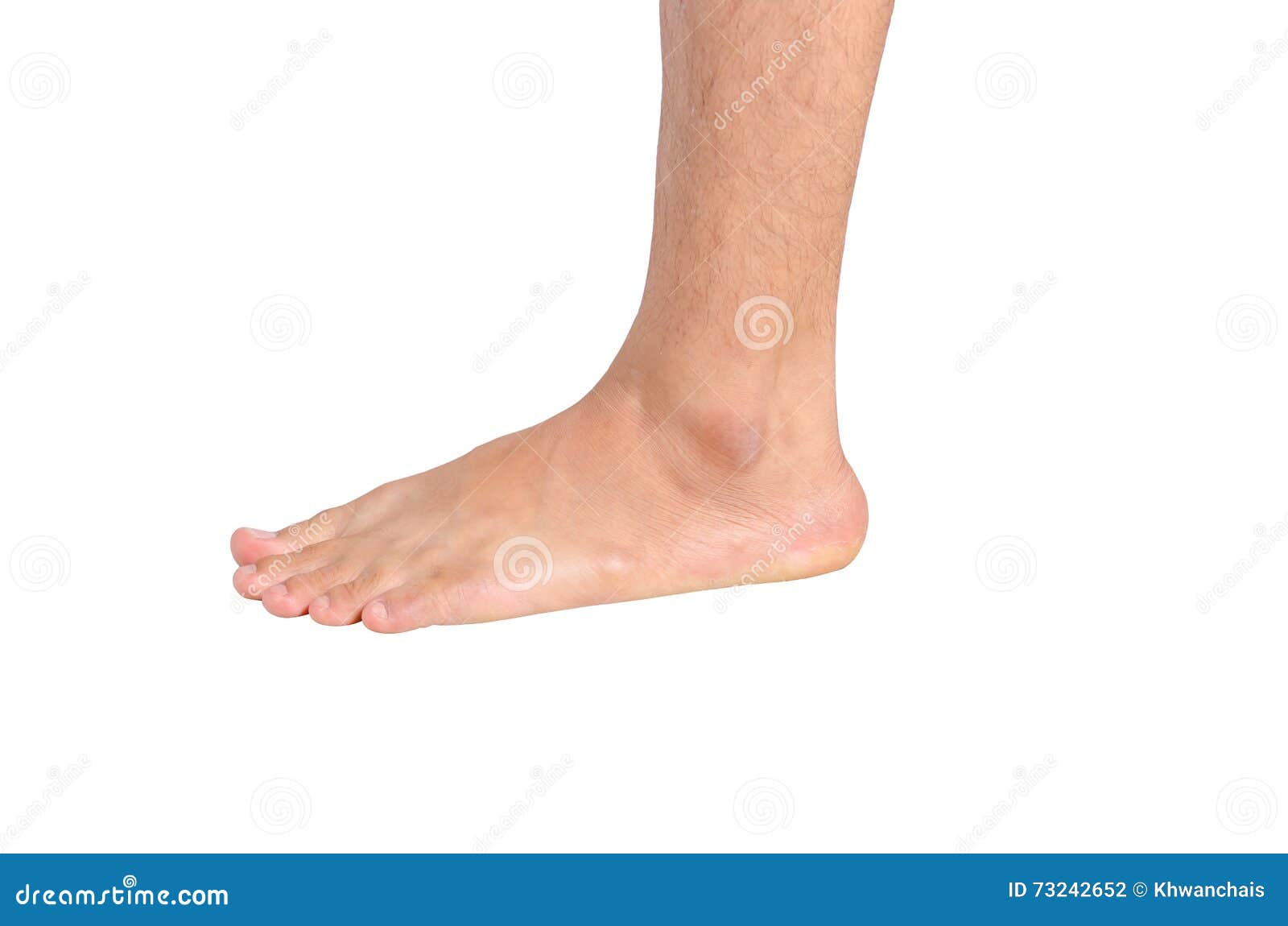 Men Foot Isolated on White Background Stock Photo - Image of clean ...