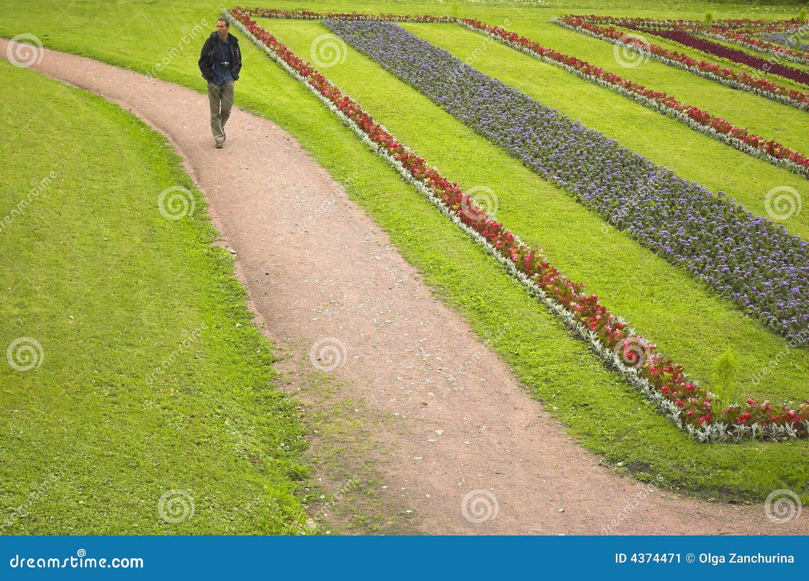 The Men Goes on a Path of Park Stock Image - Image of landscape ...
