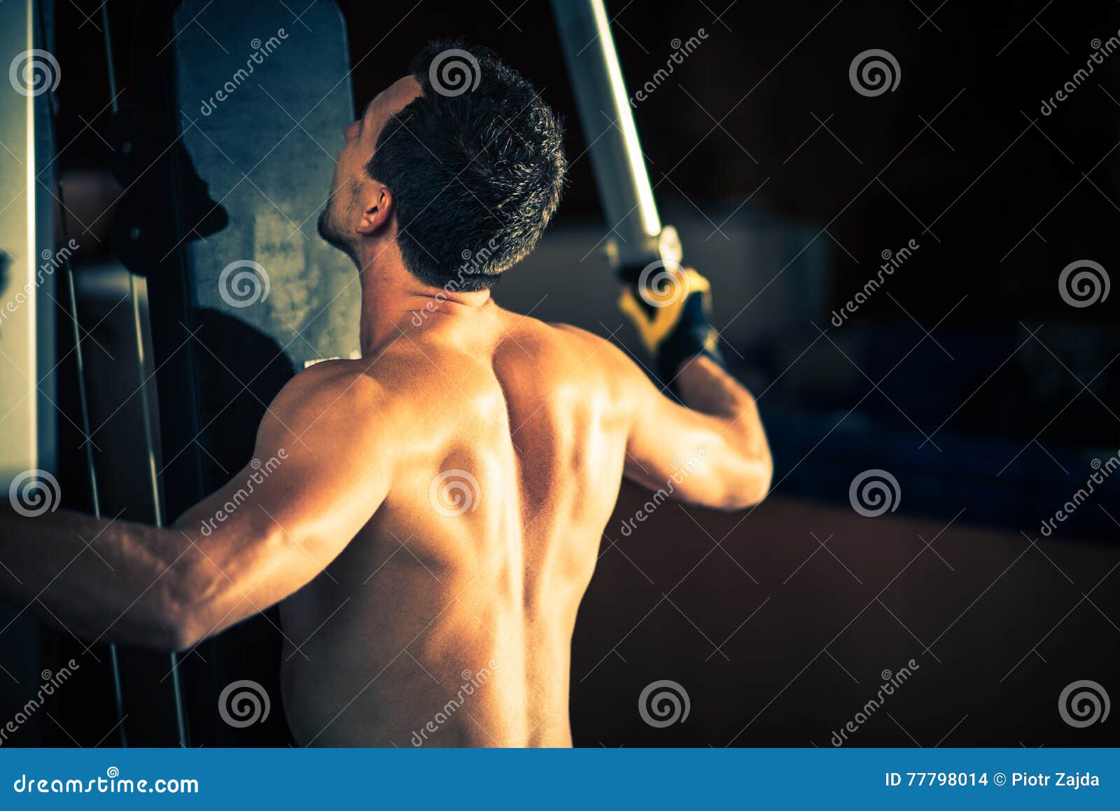 Men in the Gym stock photo. Image of lifting, bodybuilding - 77798014