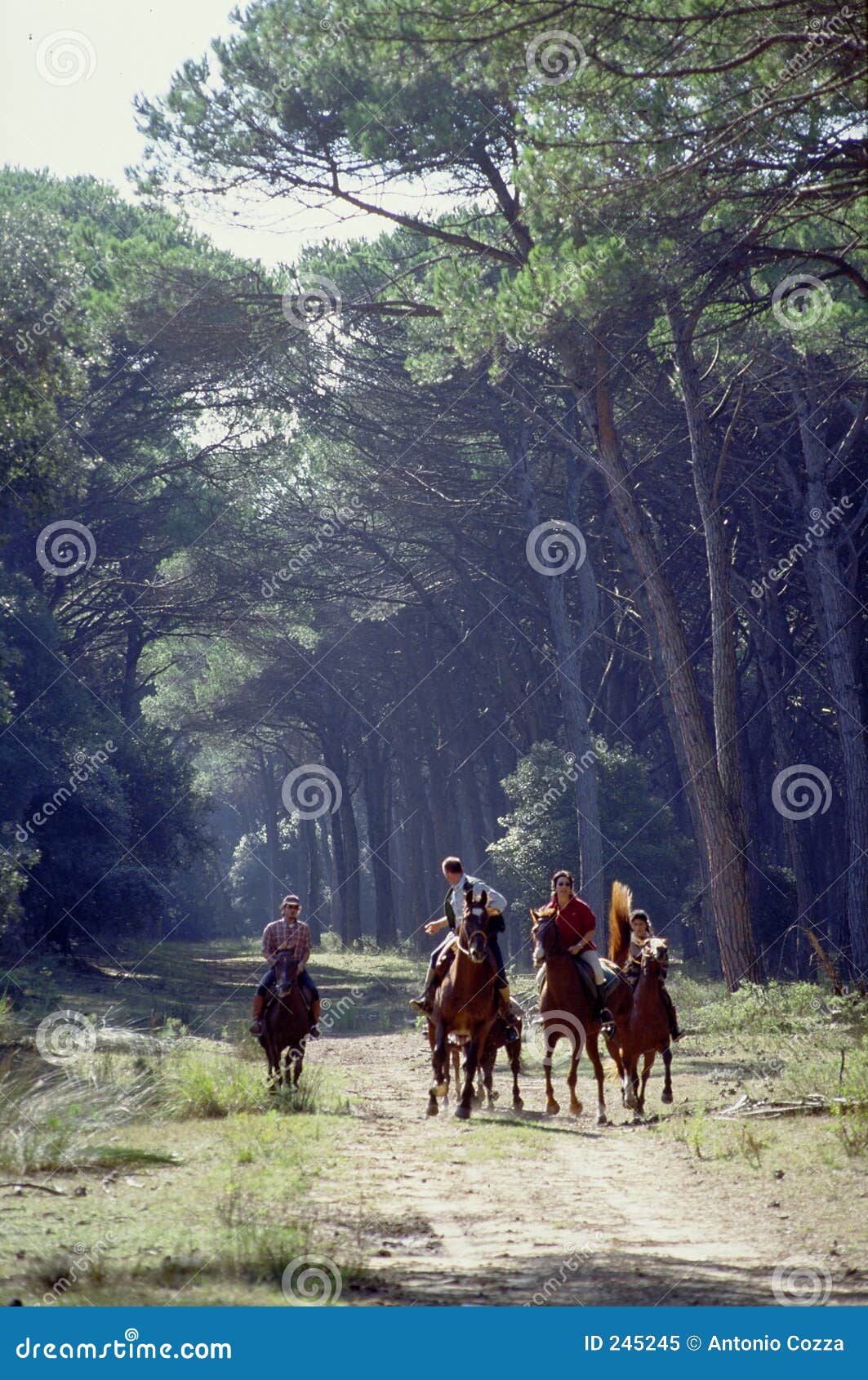 Men and Horses stock image. Image of land, programma, ride - 245245