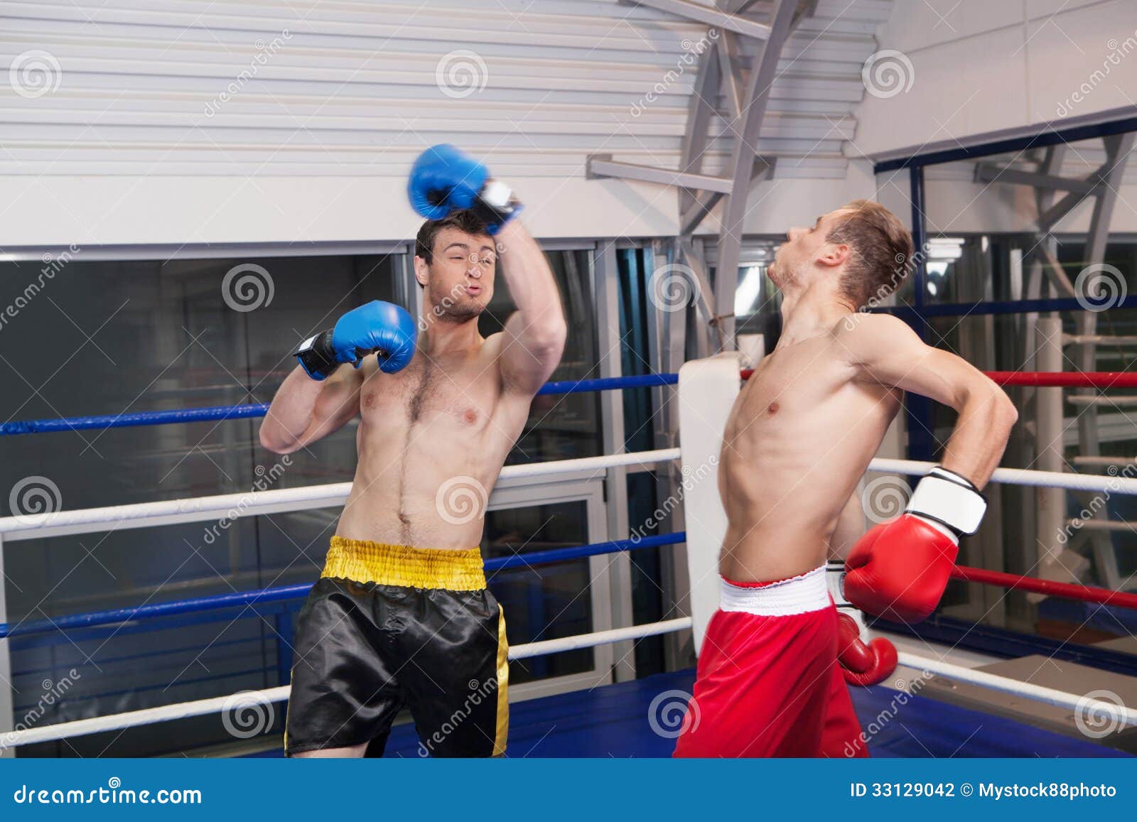Men kickboxing. stock photo. Image of concentrated, professional - 33129042