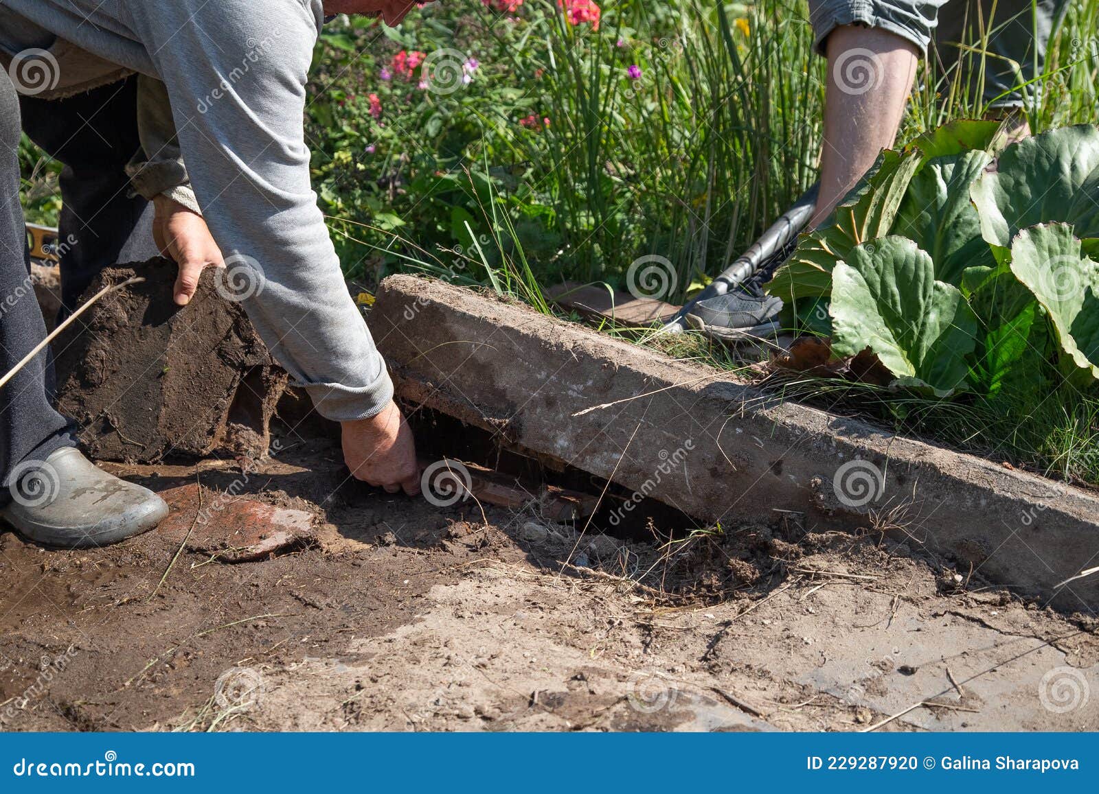Men Lay Curbstone for Grouting Garden Path, Construction Work on Garden ...