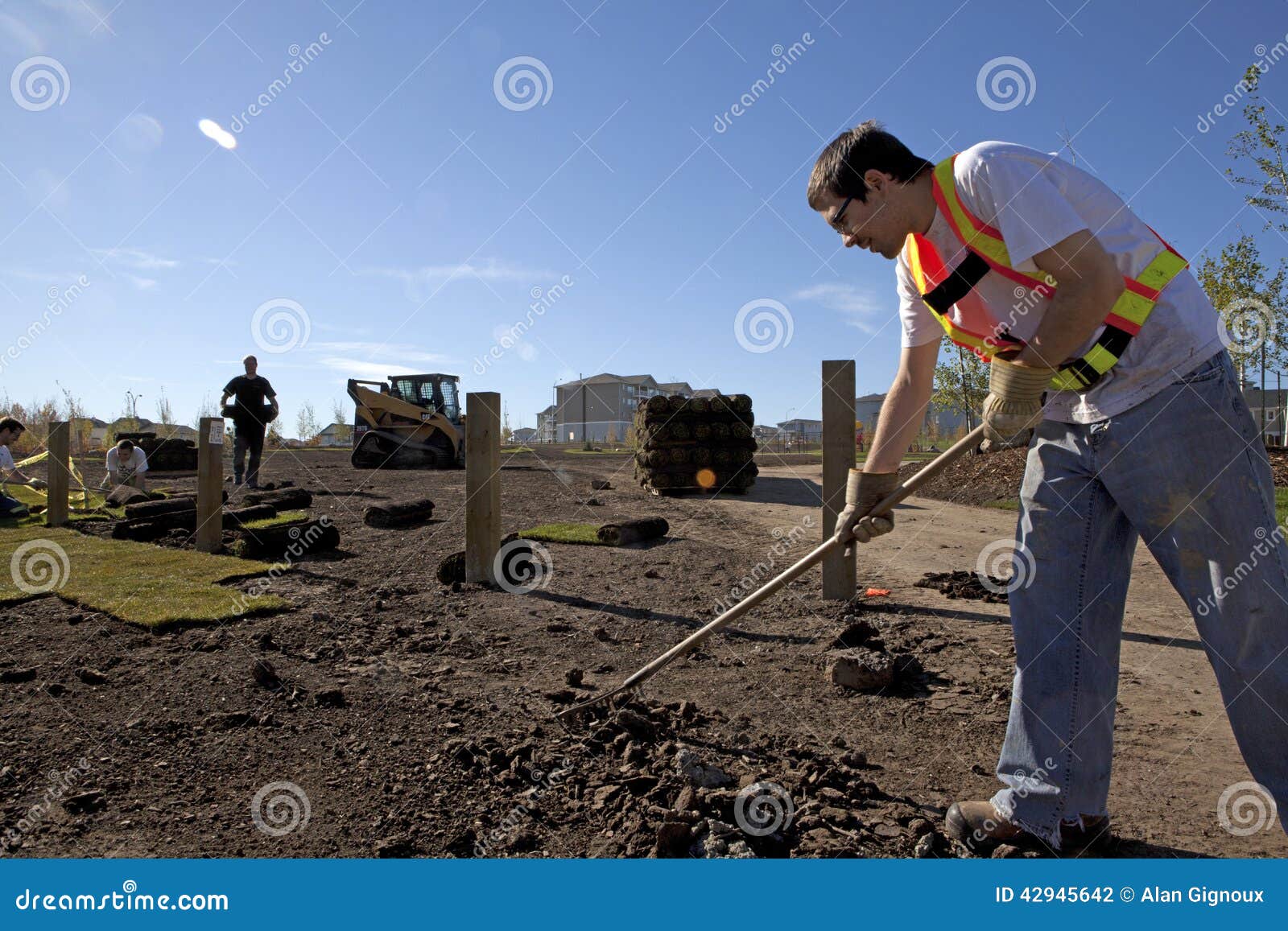 Men Laying Turf, Alberta, Canada Editorial Photography - Image of ...