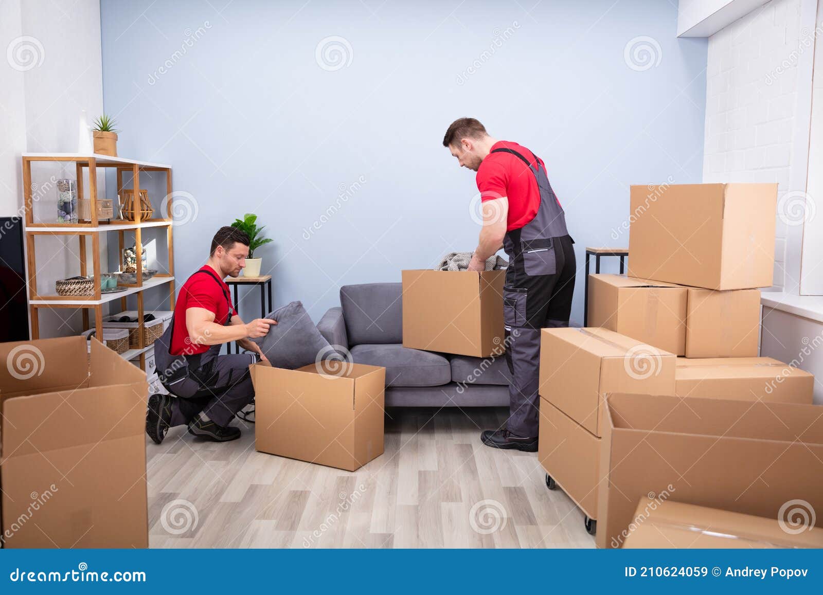 Men Loading the Cardboard Boxes during Moving Stock Image - Image of ...