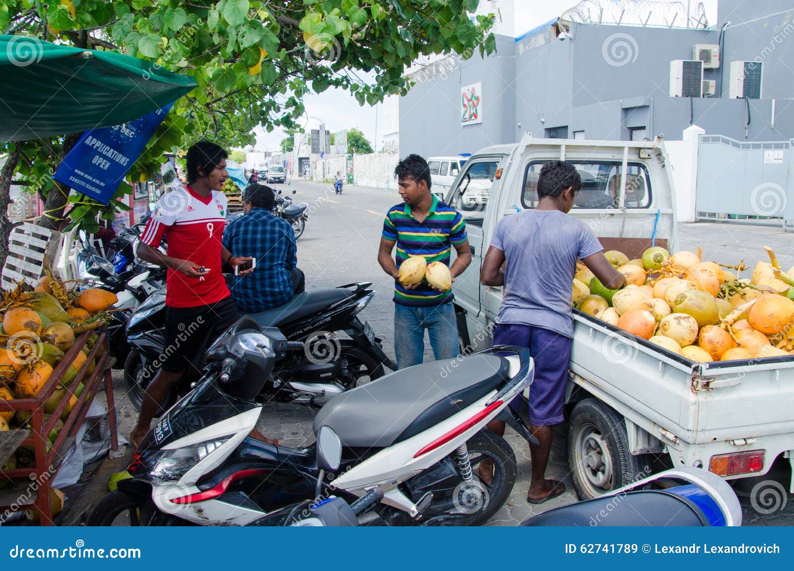 Men Loading Coconuts from Truck Editorial Stock Image - Image of male ...