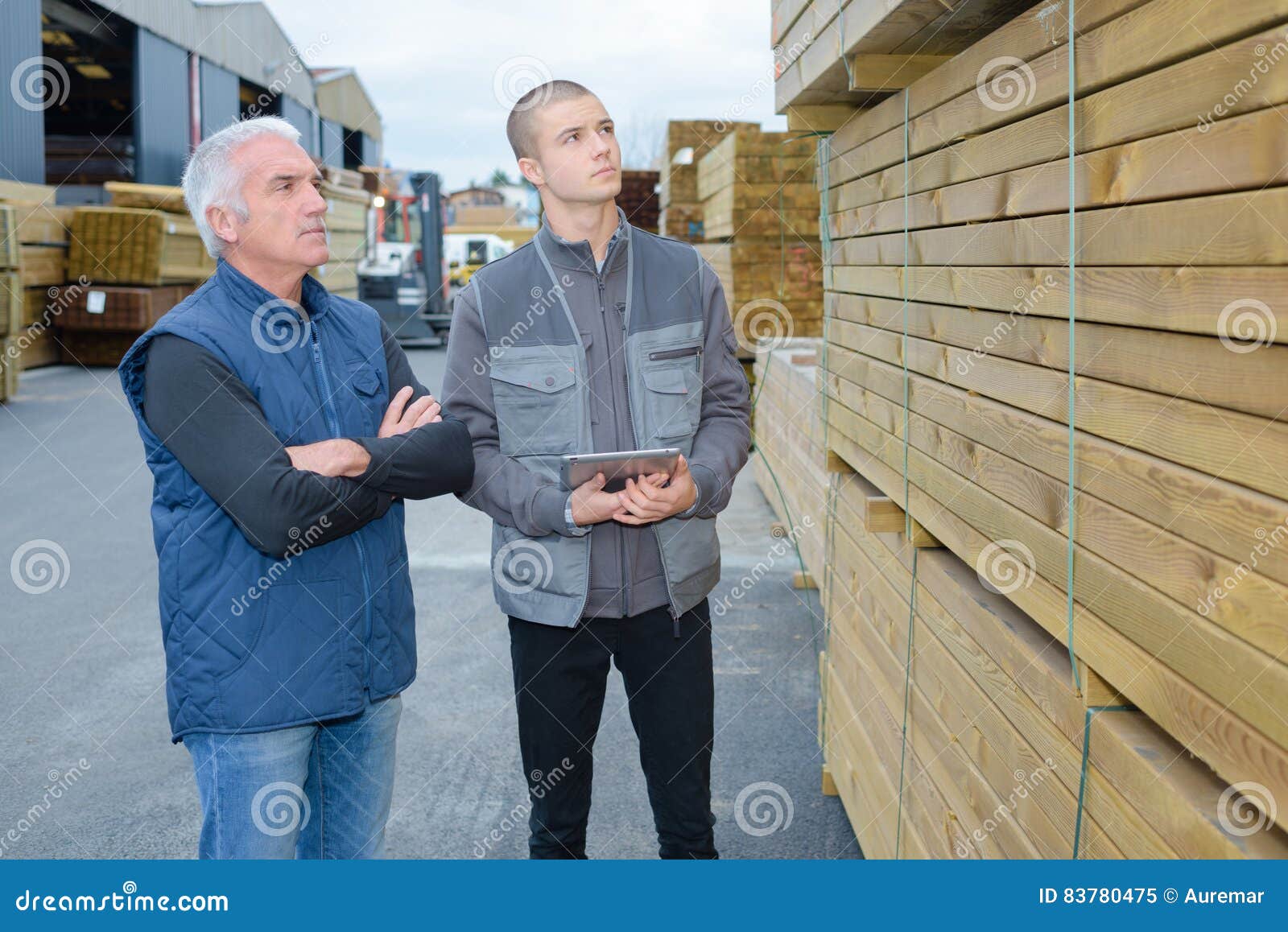 Men looking at stack wood stock image. Image of timber - 83780475