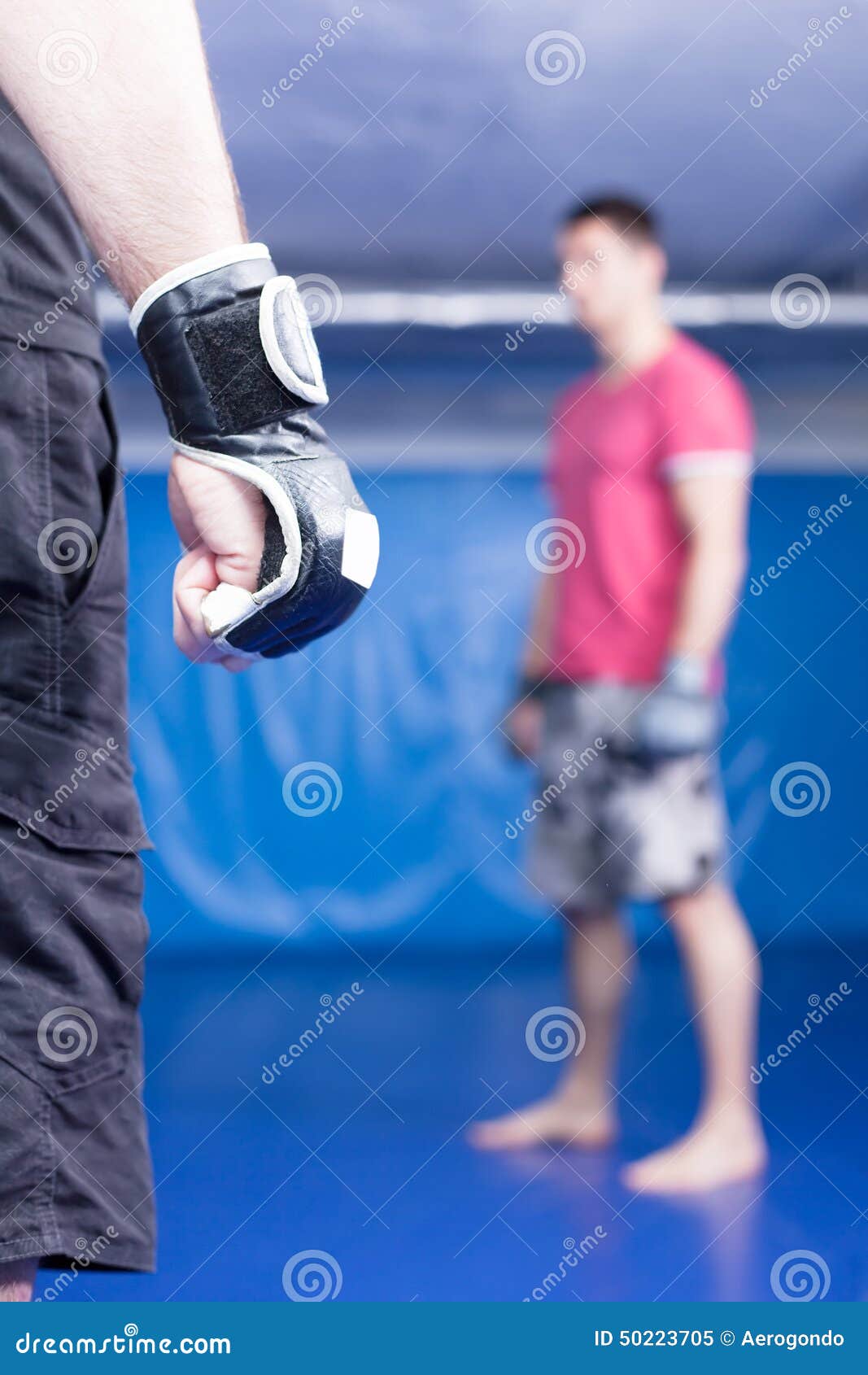 Men at mma training stock image. Image of strong, indoor - 50223705