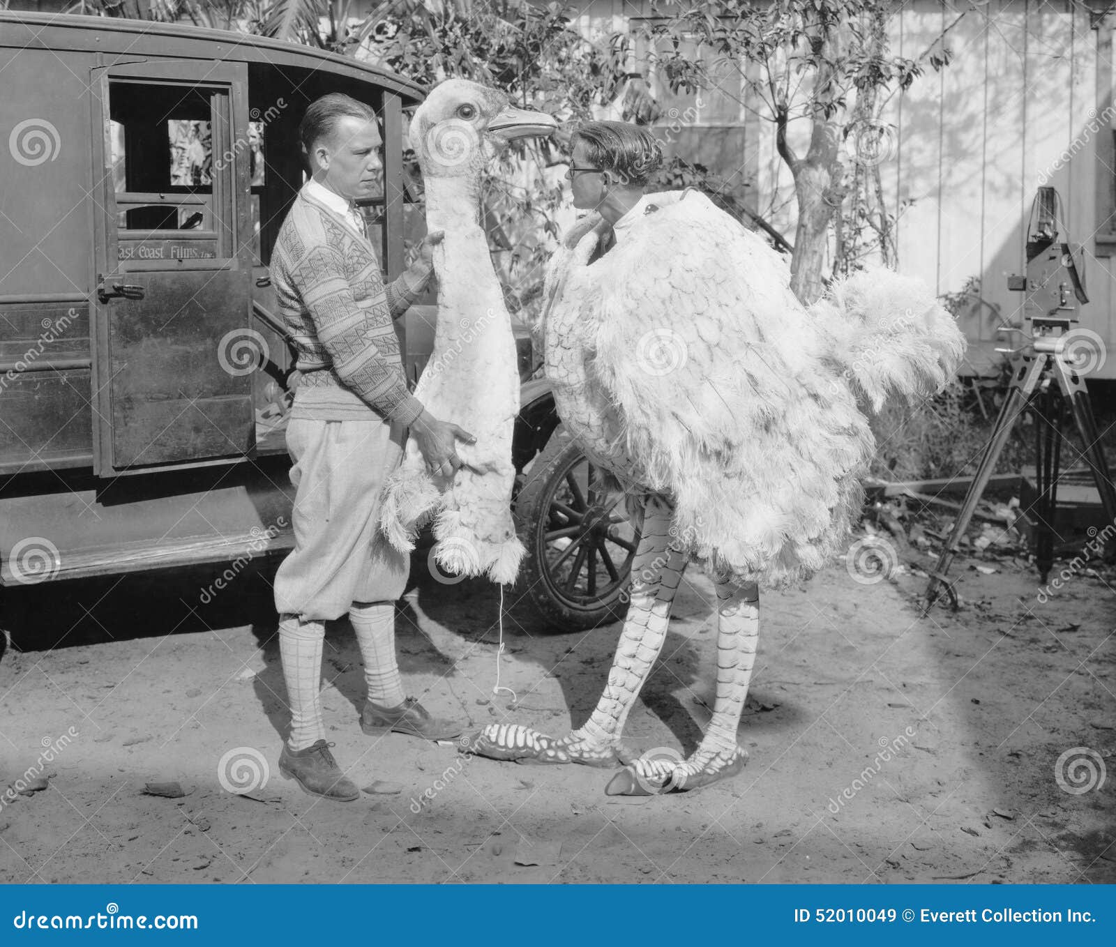 Men with ostrich costume stock image. Image of amusing - 52010049