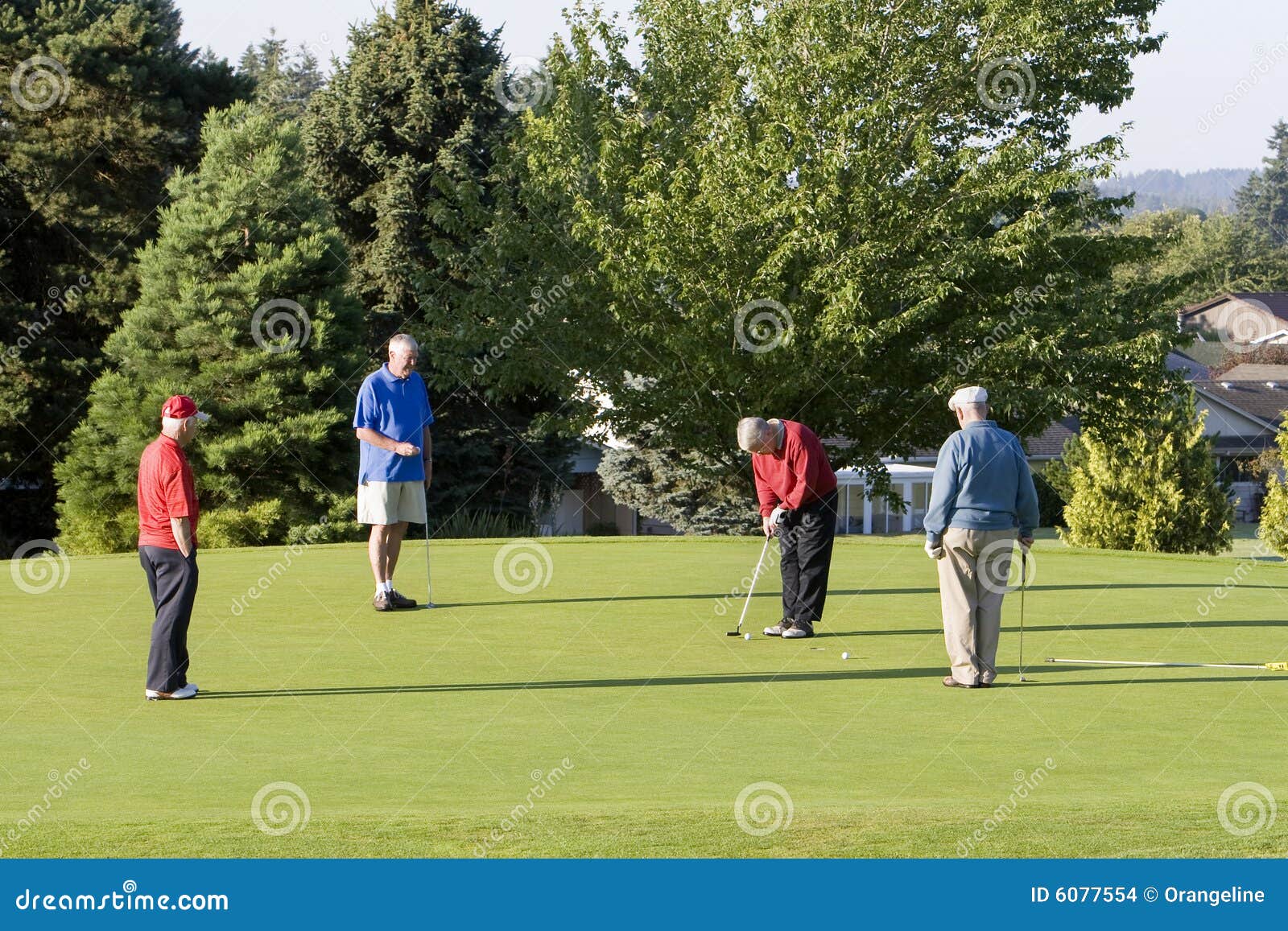 Men Playing Golf on Course stock photo. Image of chip - 6077554