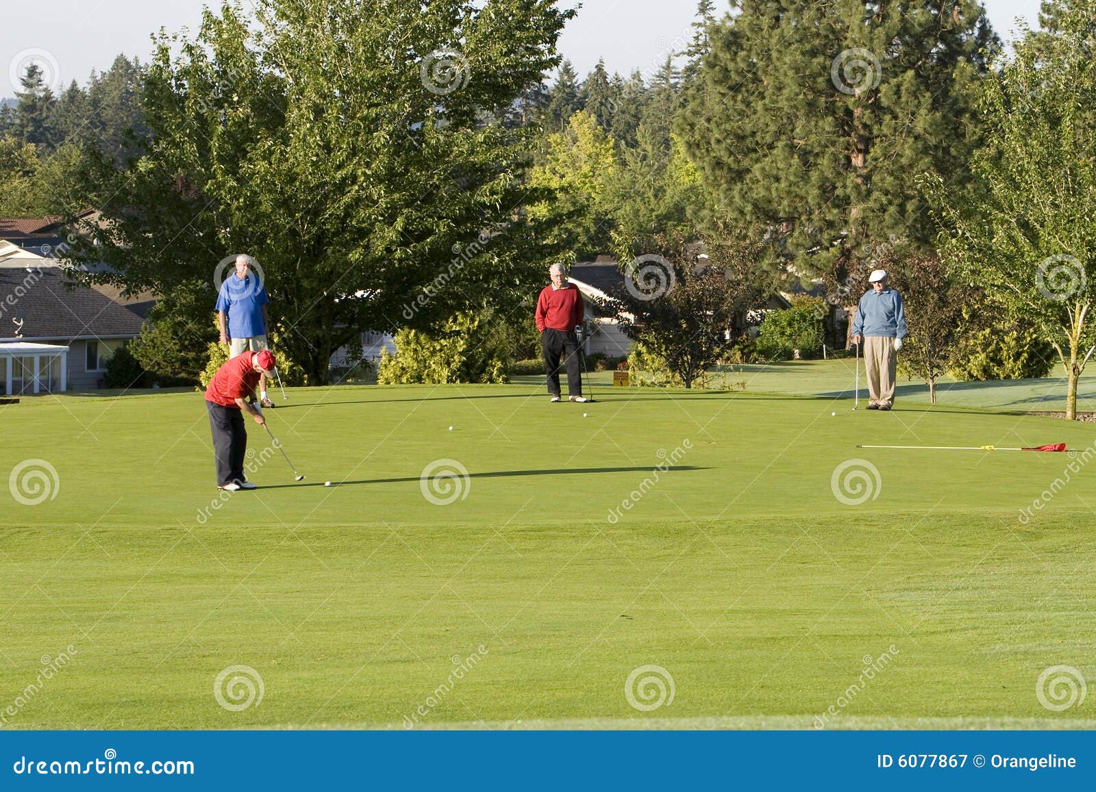 Men Playing Golf on Course stock image. Image of golf - 6077867
