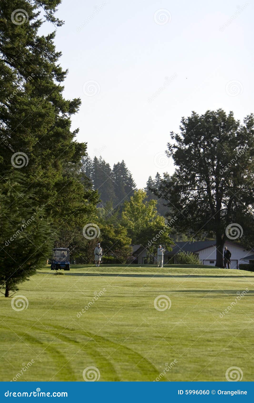 Men Playing Golf On Course - Vertical Picture. Image: 5996060