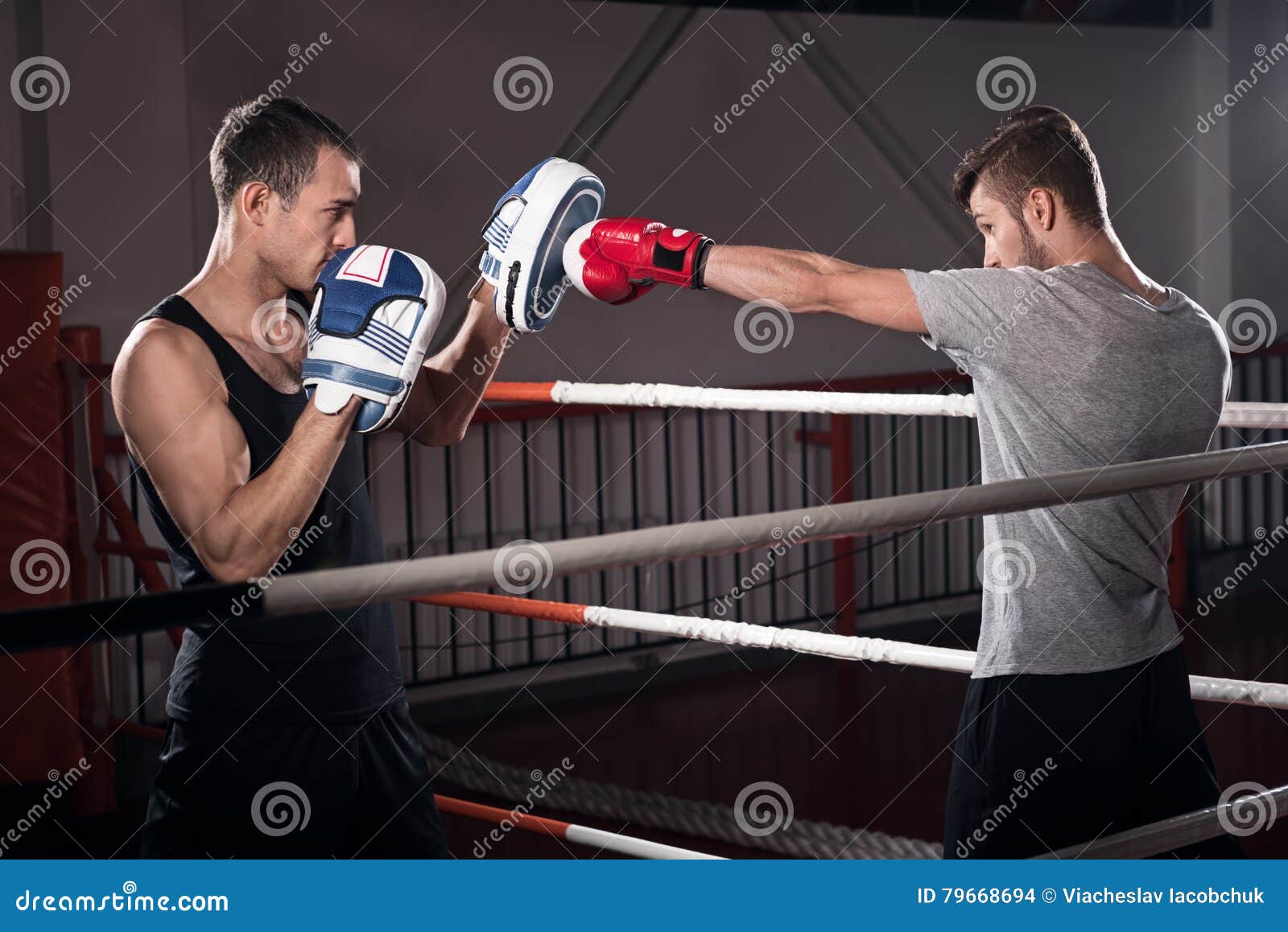 Men Practicing Boxing on Ring Stock Photo - Image of fist, millennial ...